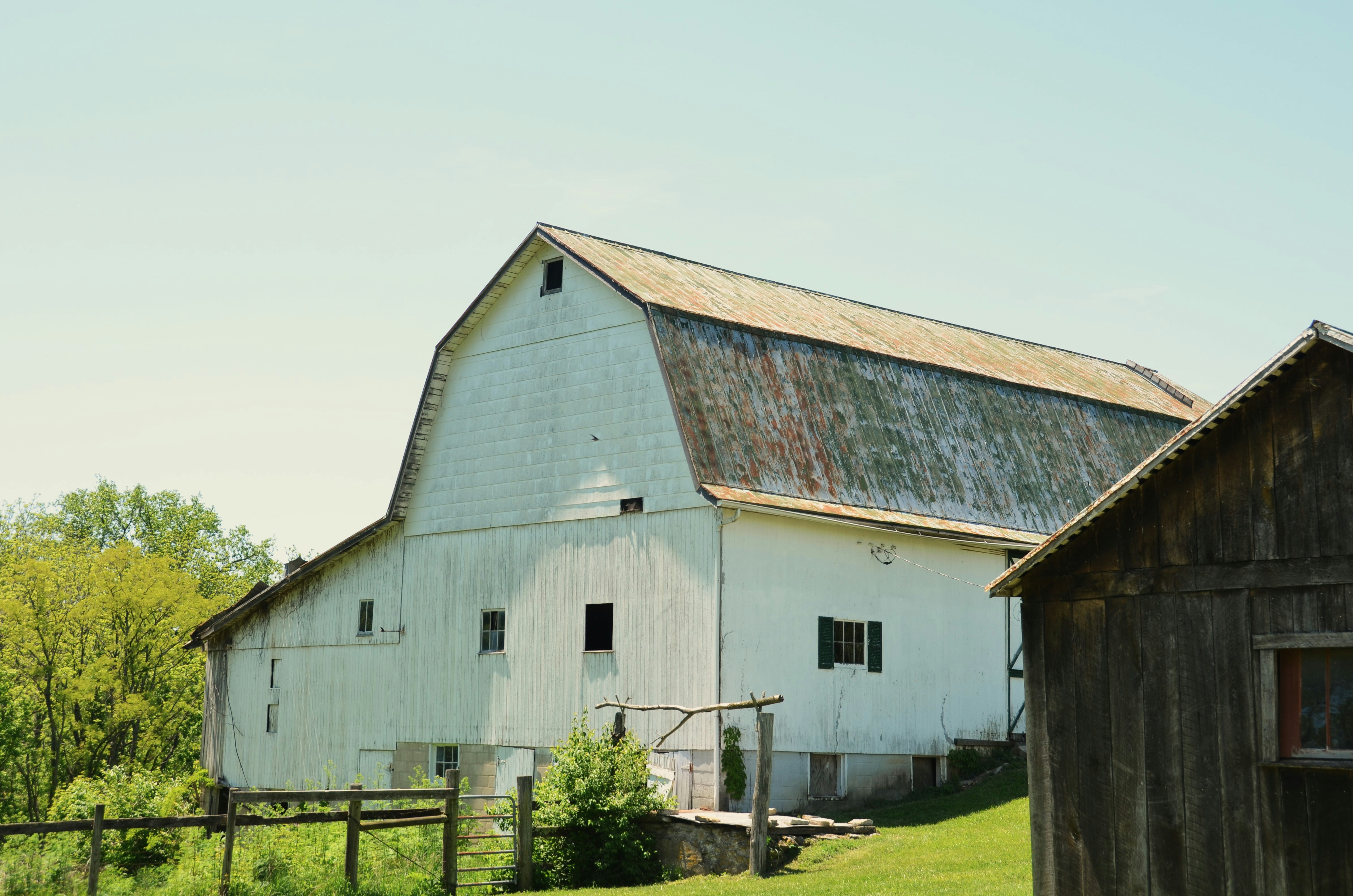 Old Barn Symphony: Weathered White Facade Amid Rural Quiet