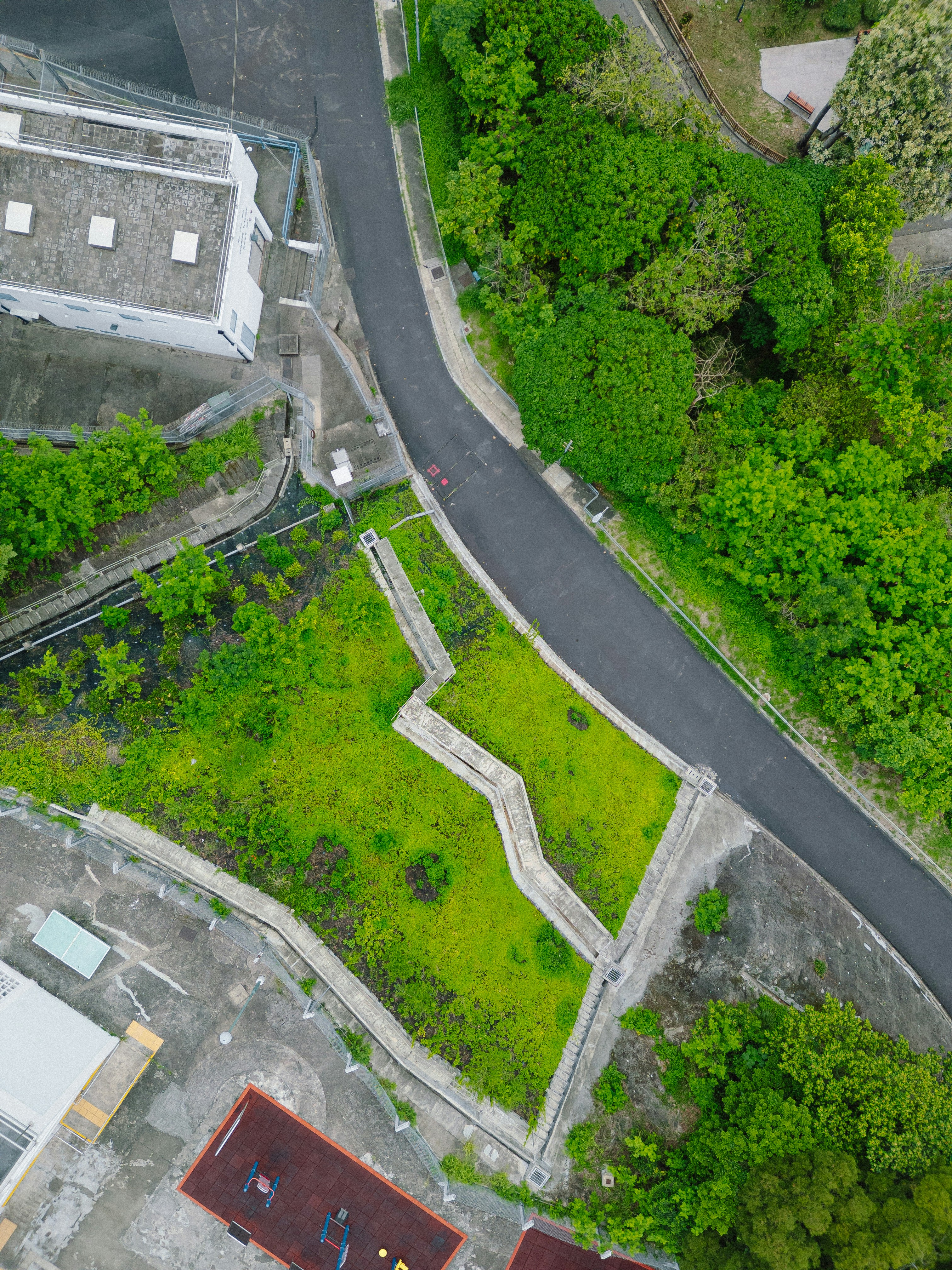 Aerial Quiet: A Winding Path Through Green Terraces
