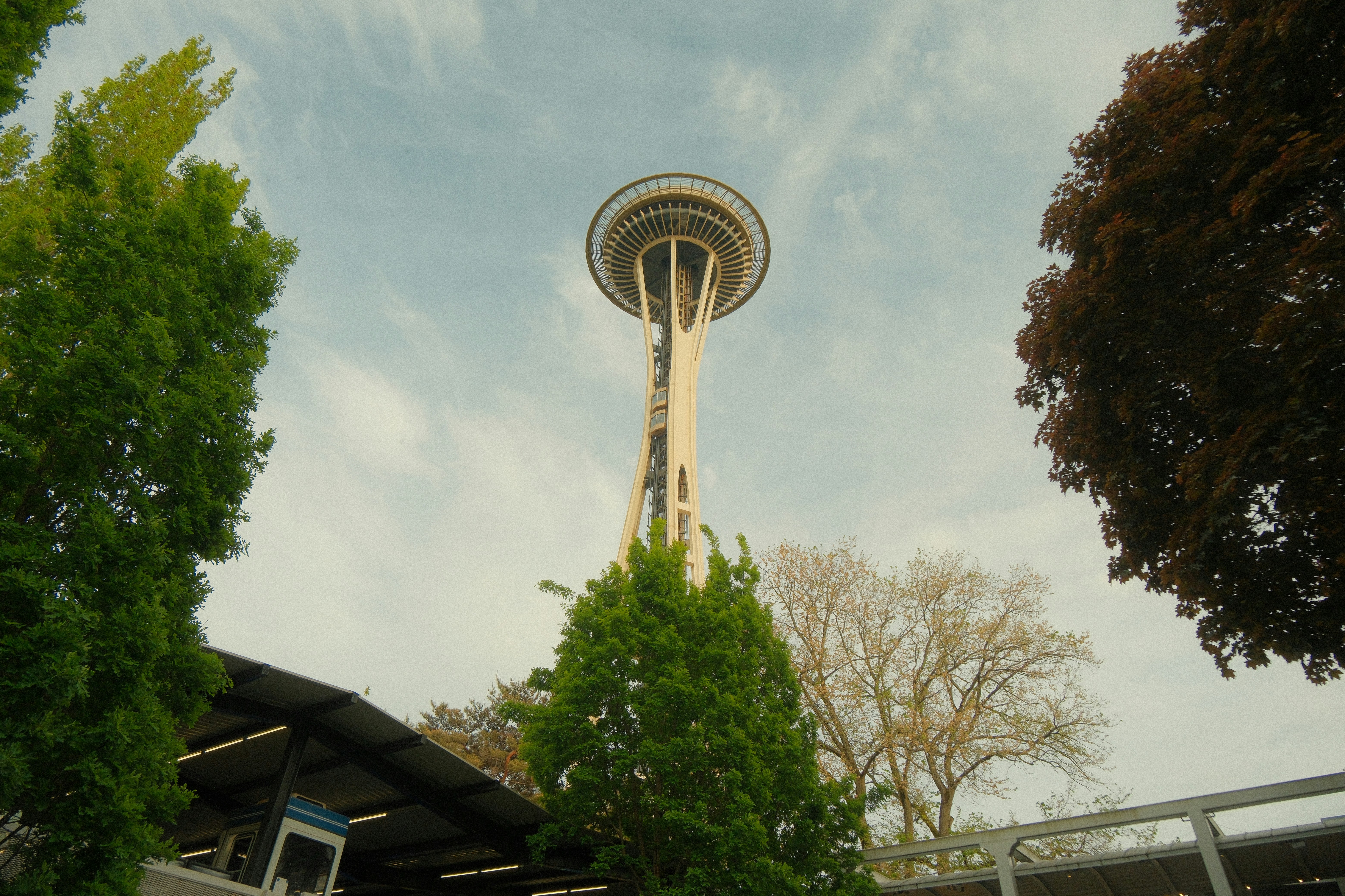 Seattle’s Spire: A Skyline Framed by Foliage