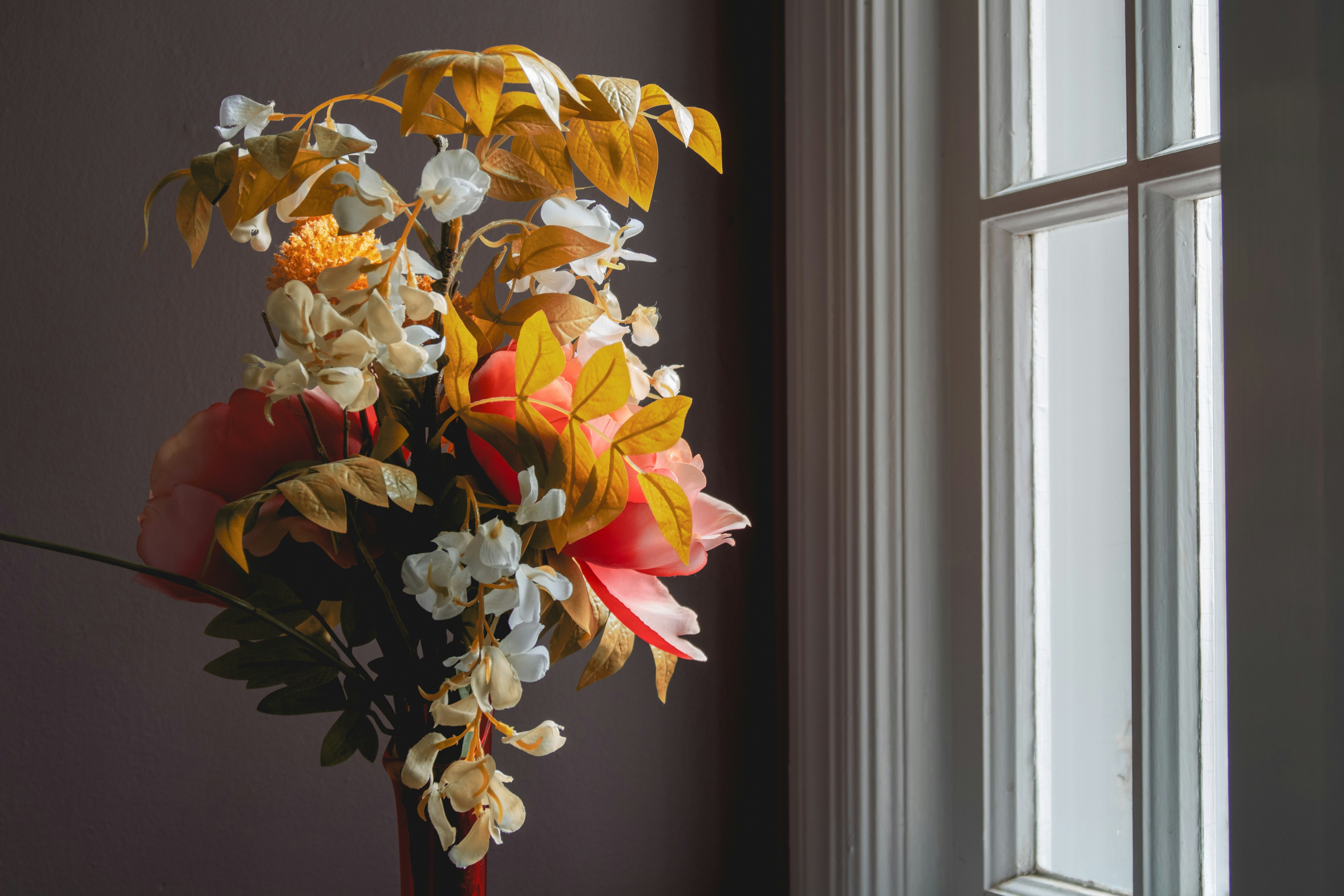 Autumn botanicals by the sunlit window