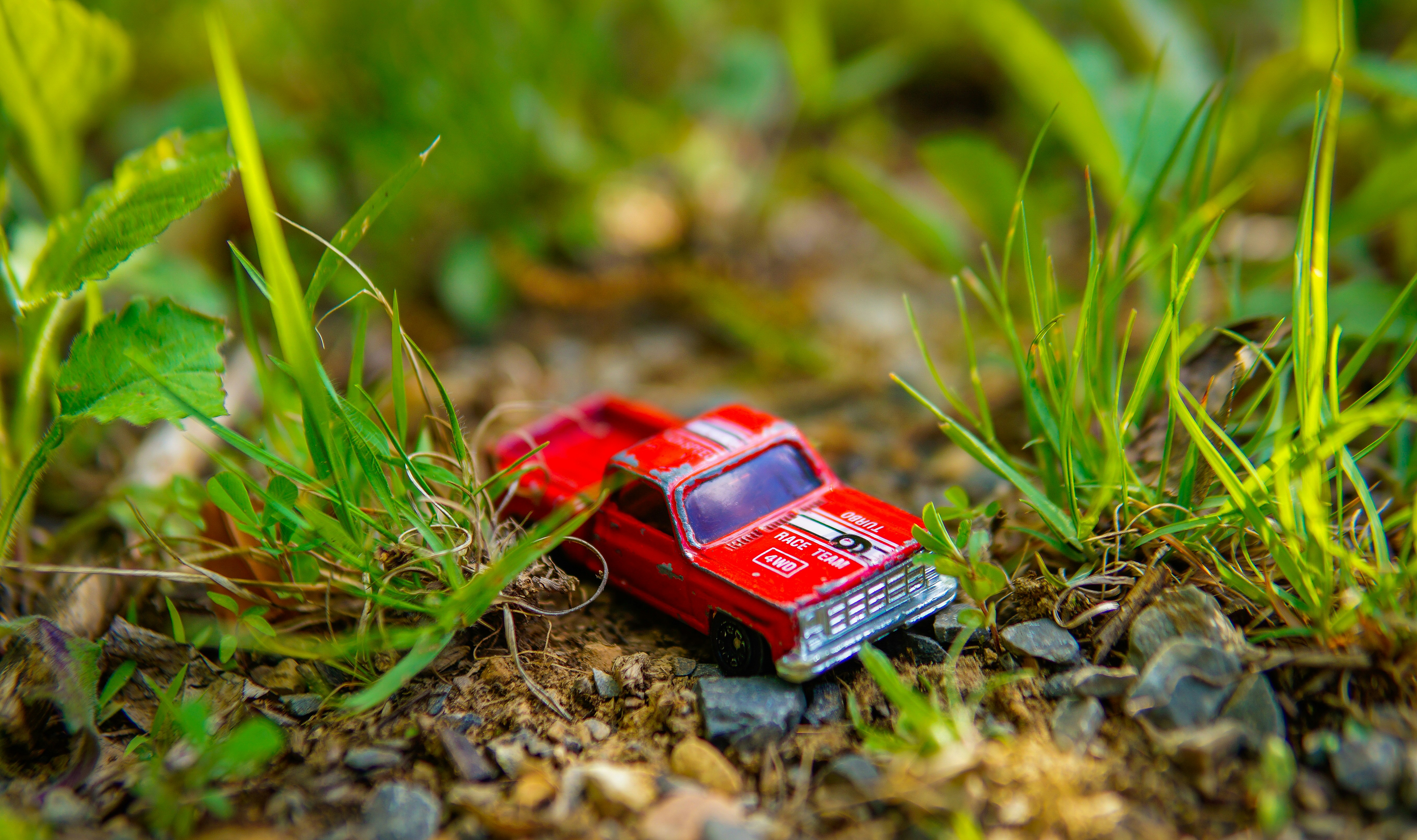 Mini Red Rally Car Reaching for the Grass