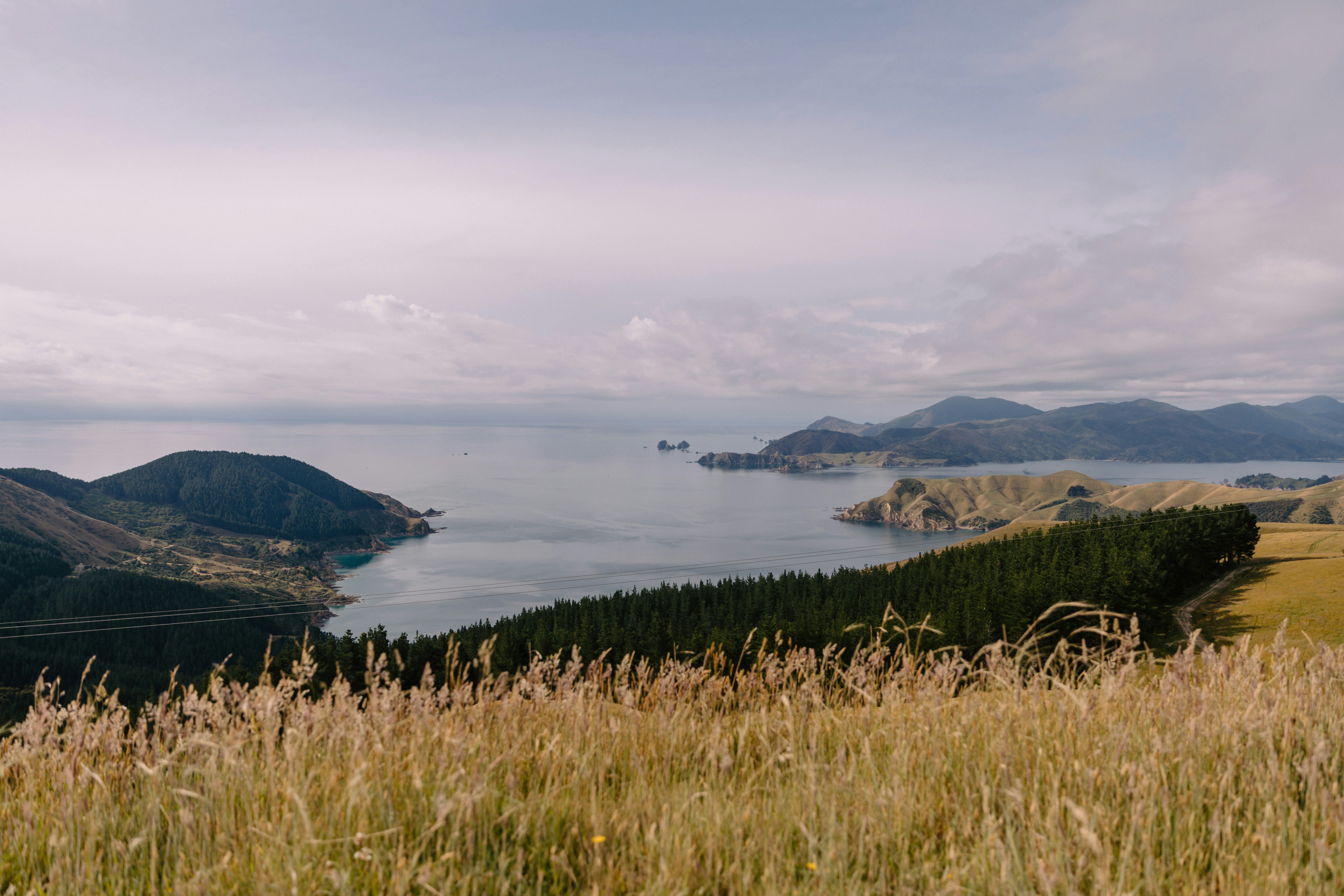 Sea Whisper from the Grassland Ridge