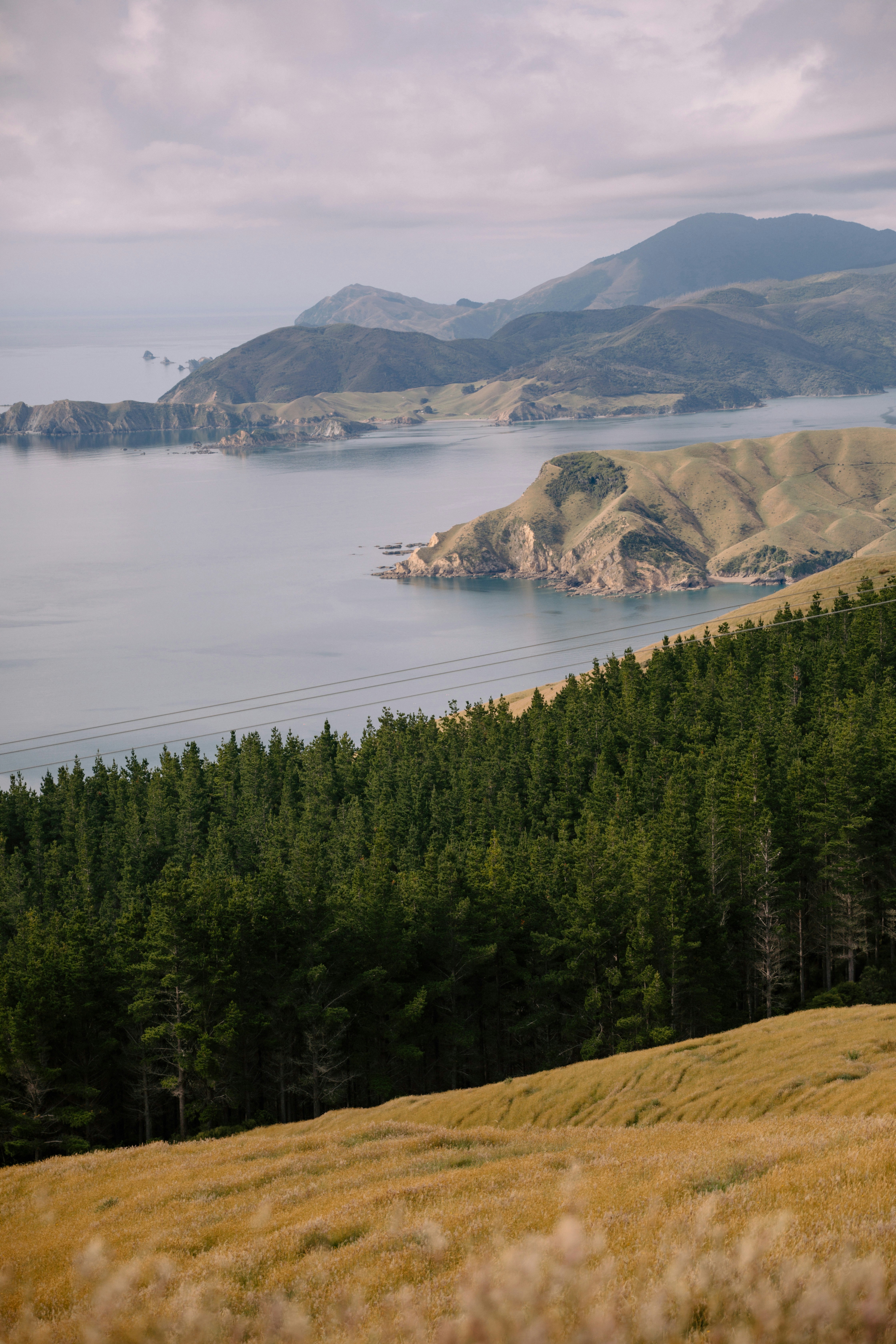 Coastal Ridge and Conifer Corridor