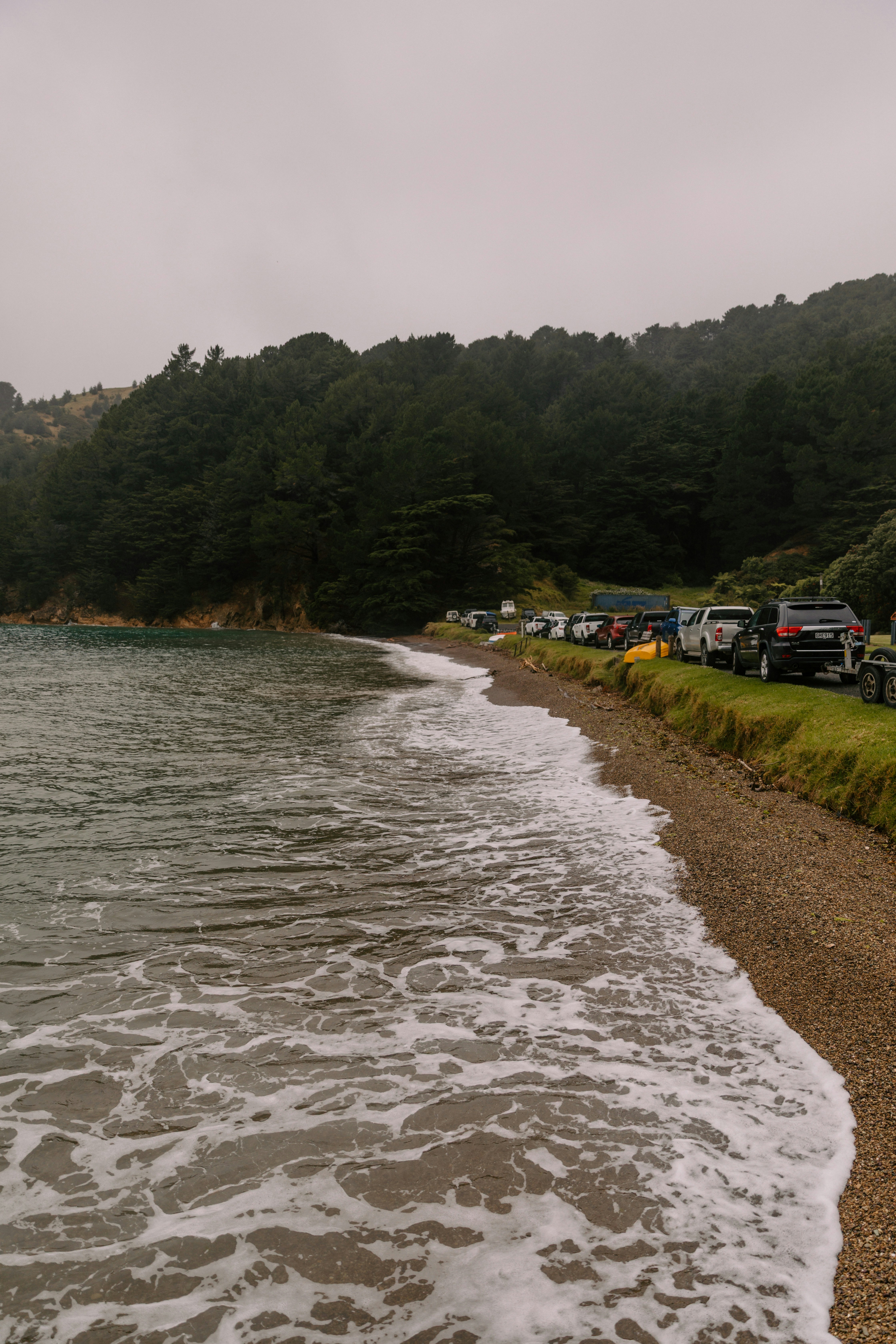 Shoreline Car Parade: A Quiet Convergence of Forest, Beach, and Traffic