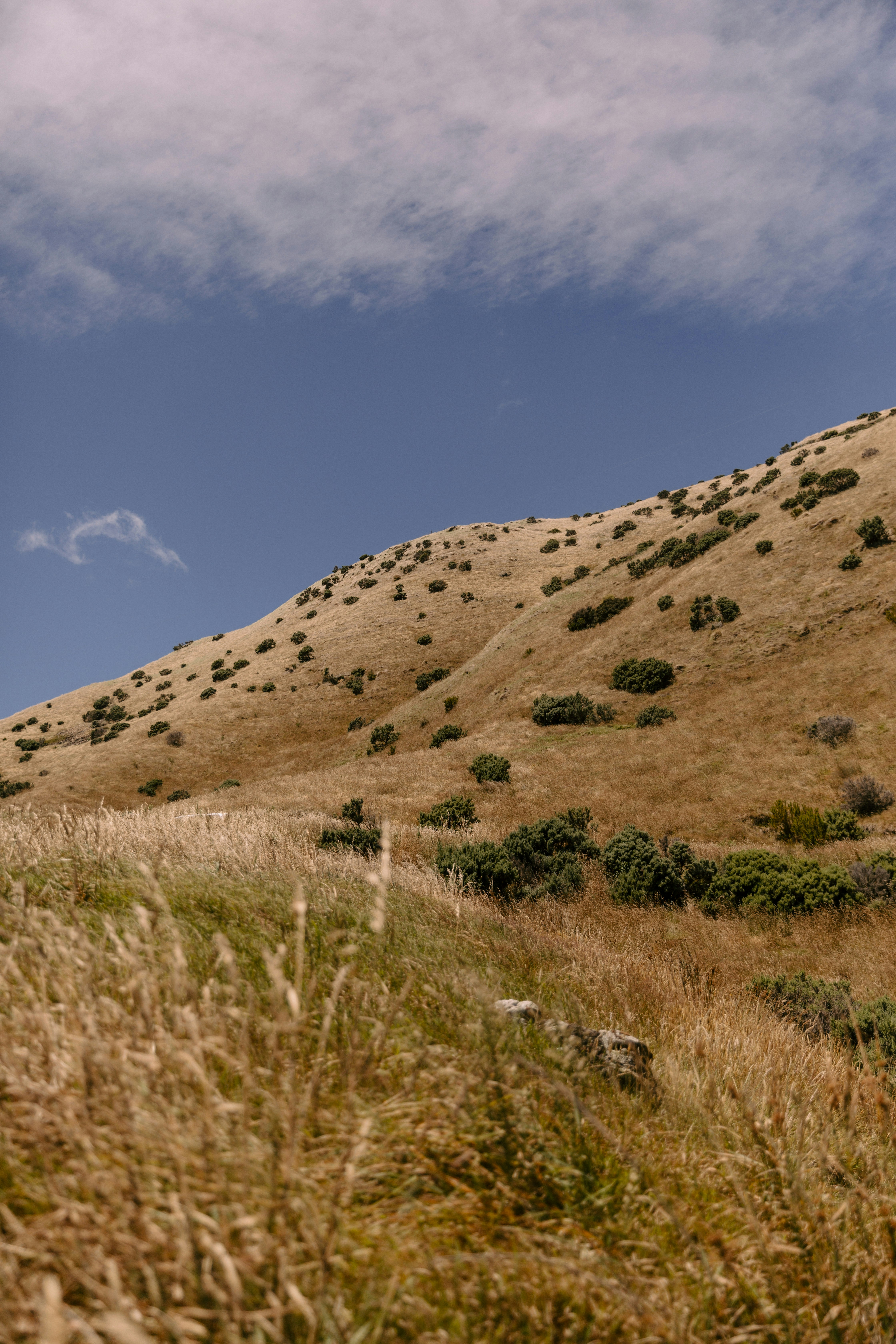 Rolling Hills Under a Quiet Midday Sky