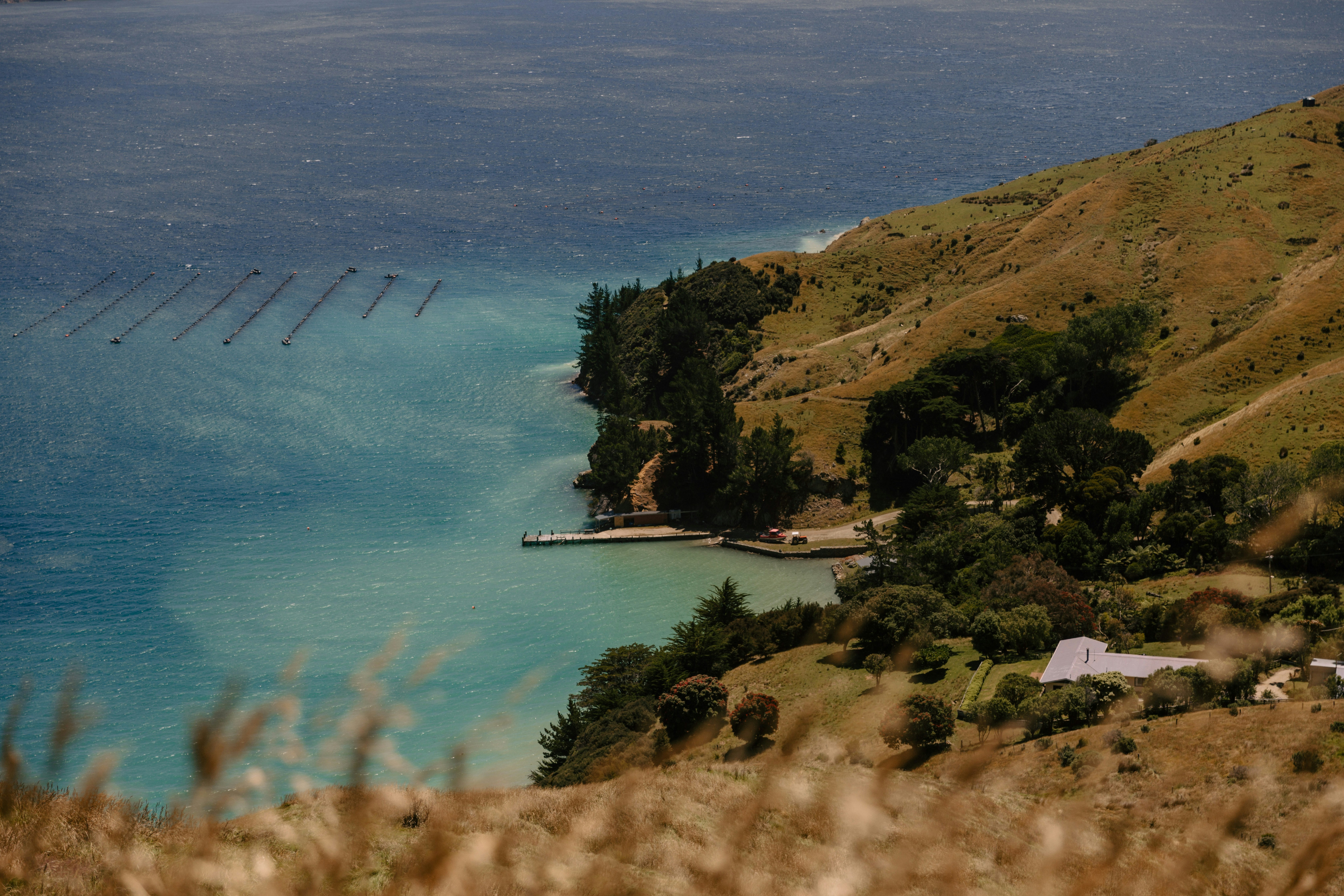 Coastal Terrace: A Distant Cove with Moorings and Hills
