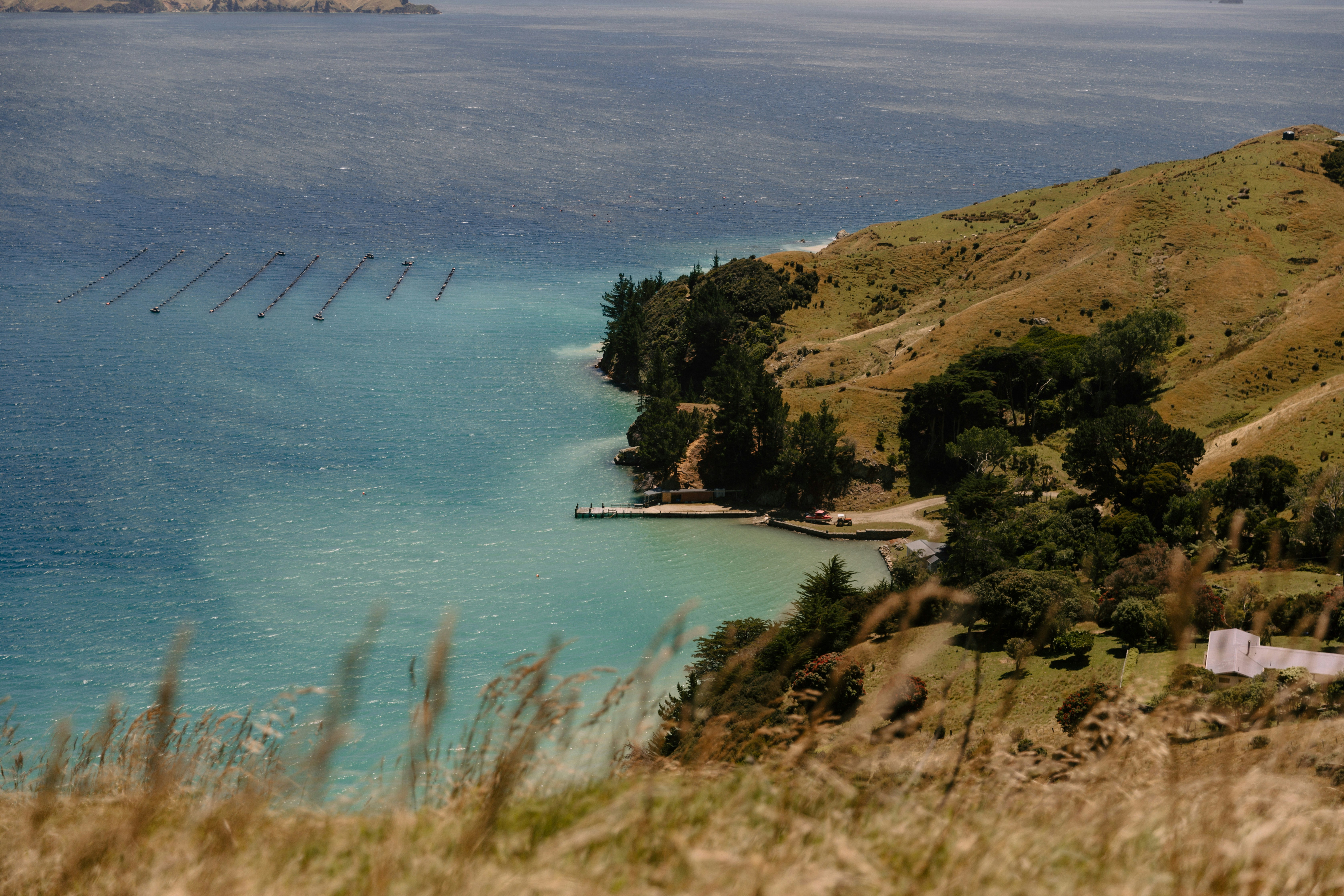 Azure Cove Stitched Along a Sunlit Expanse