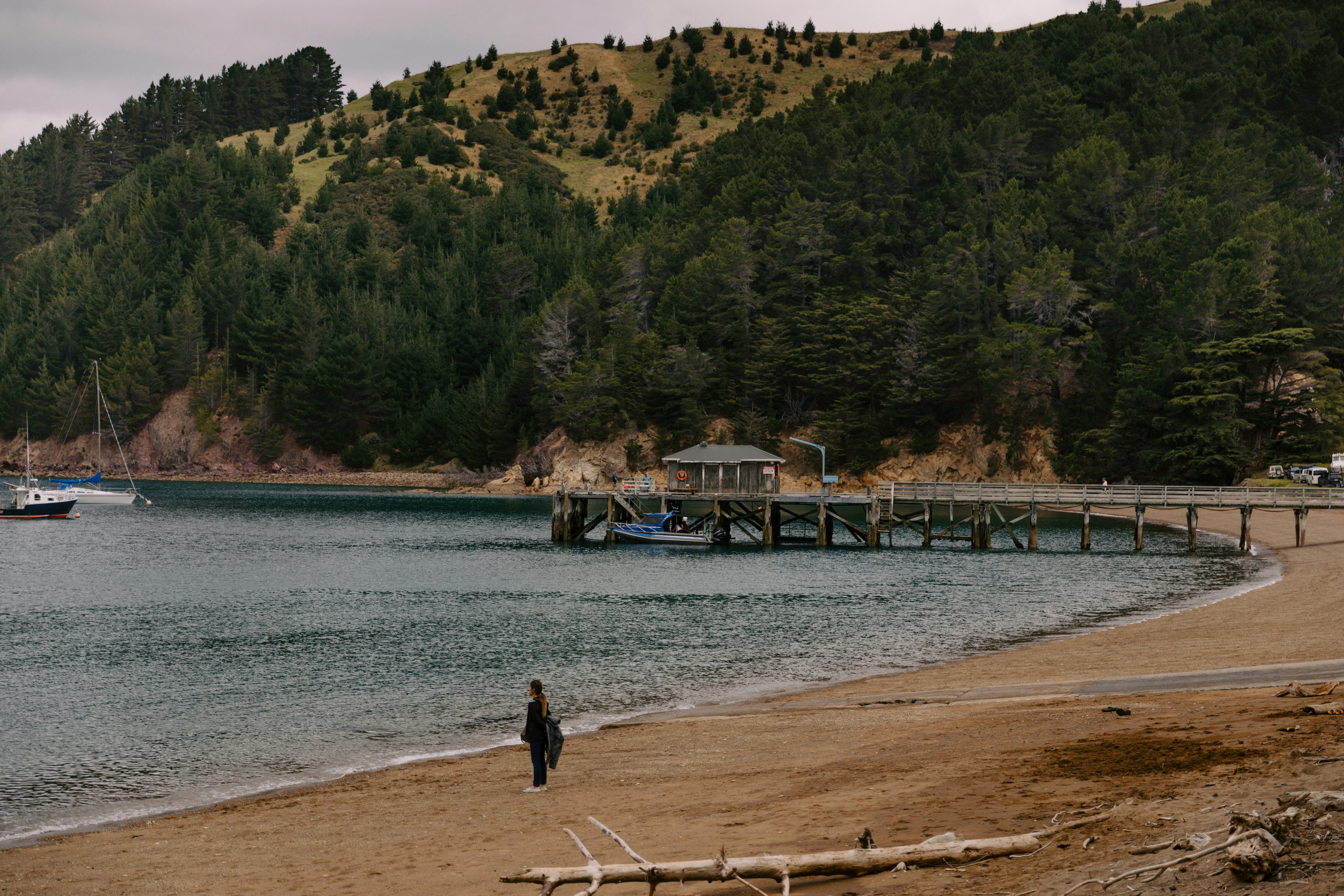 Lonely Runner on a Quiet Shore
