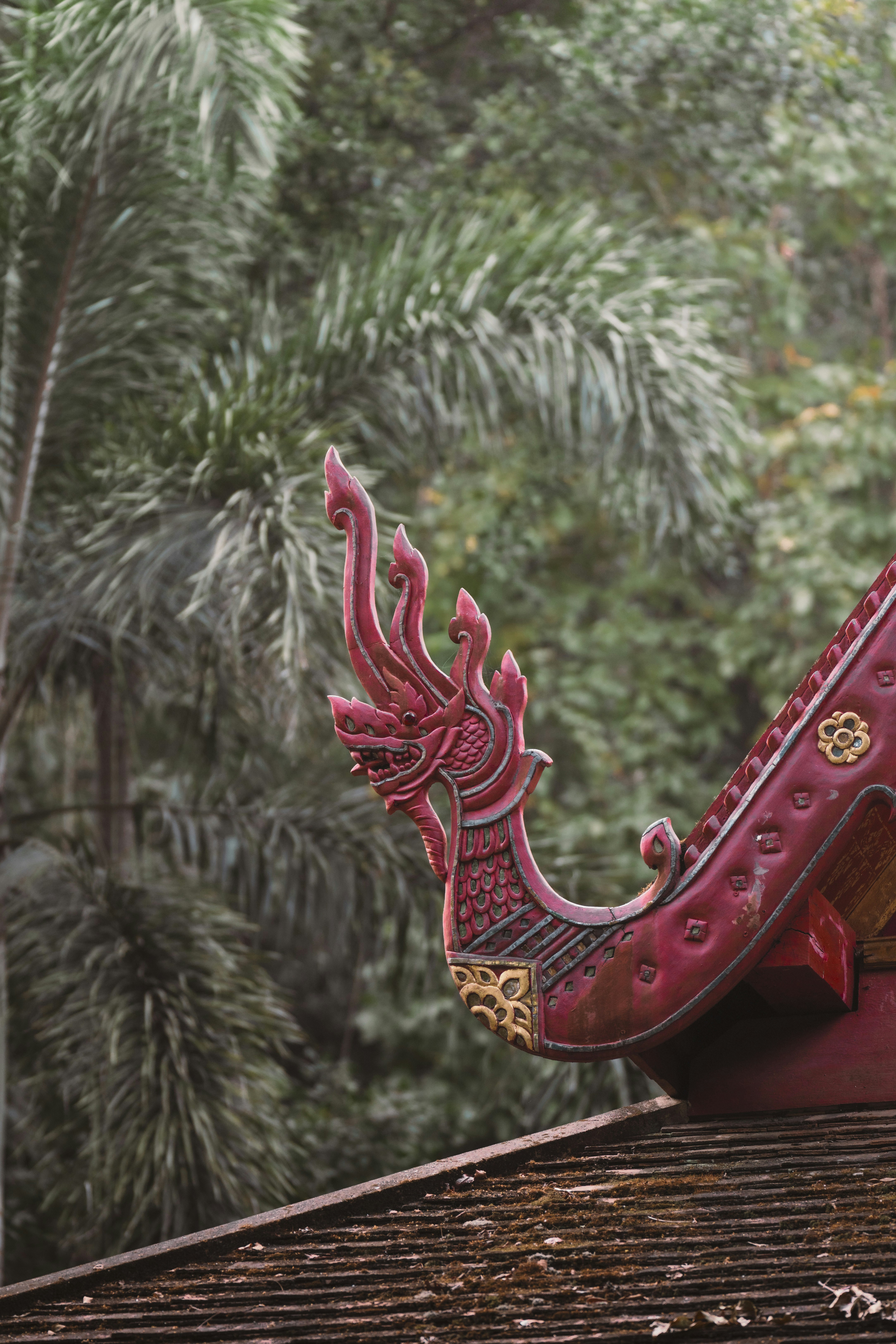 Dragon Crest on the Roof: Red Ornament Meets Tropical Backdrop