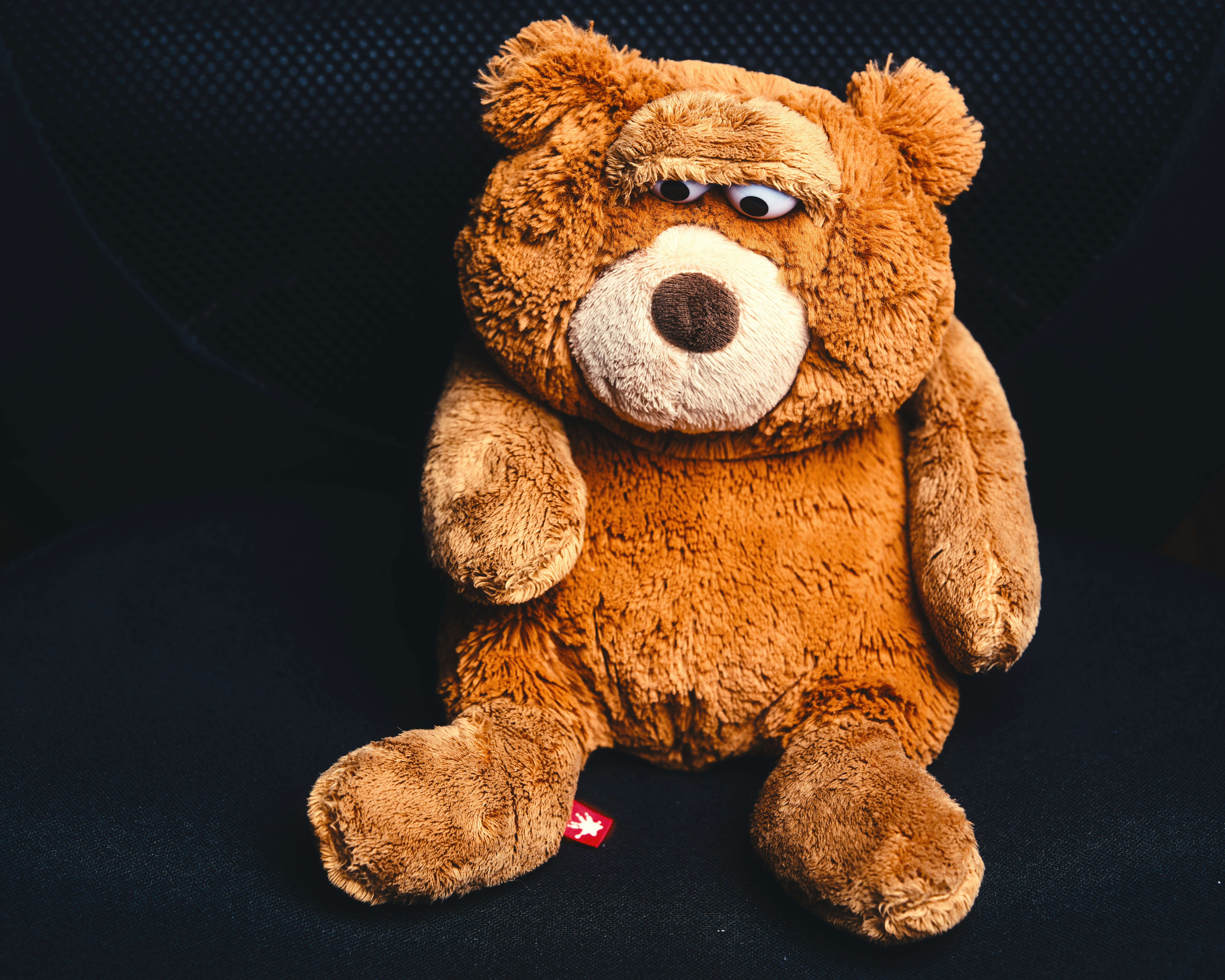 Toy Bear Under Spotlight: A Plush Portrait in Soft Focus
