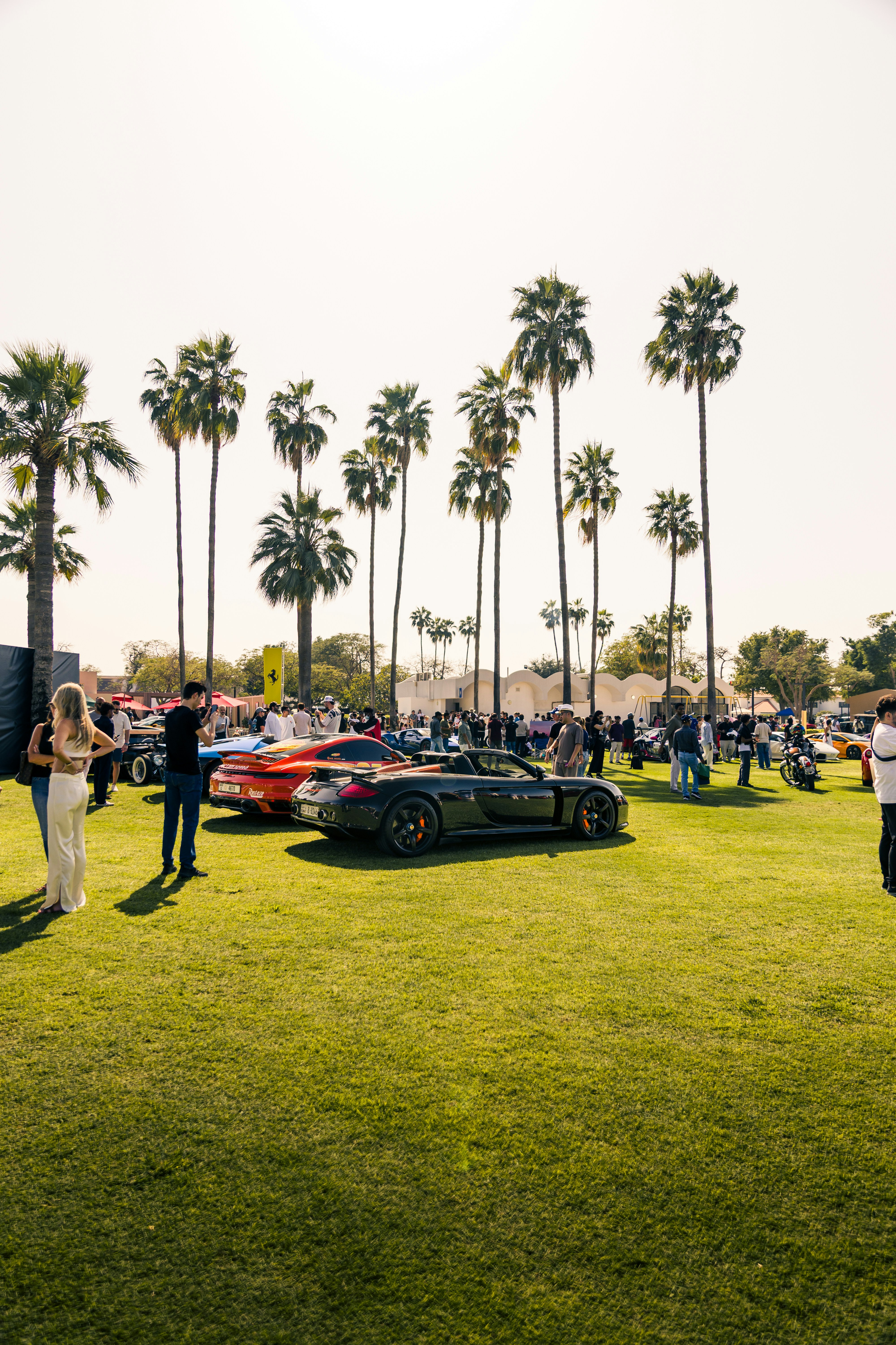 Sunlit Classic: Italian Supercars on a Lush Palm-Hashed Lawn
