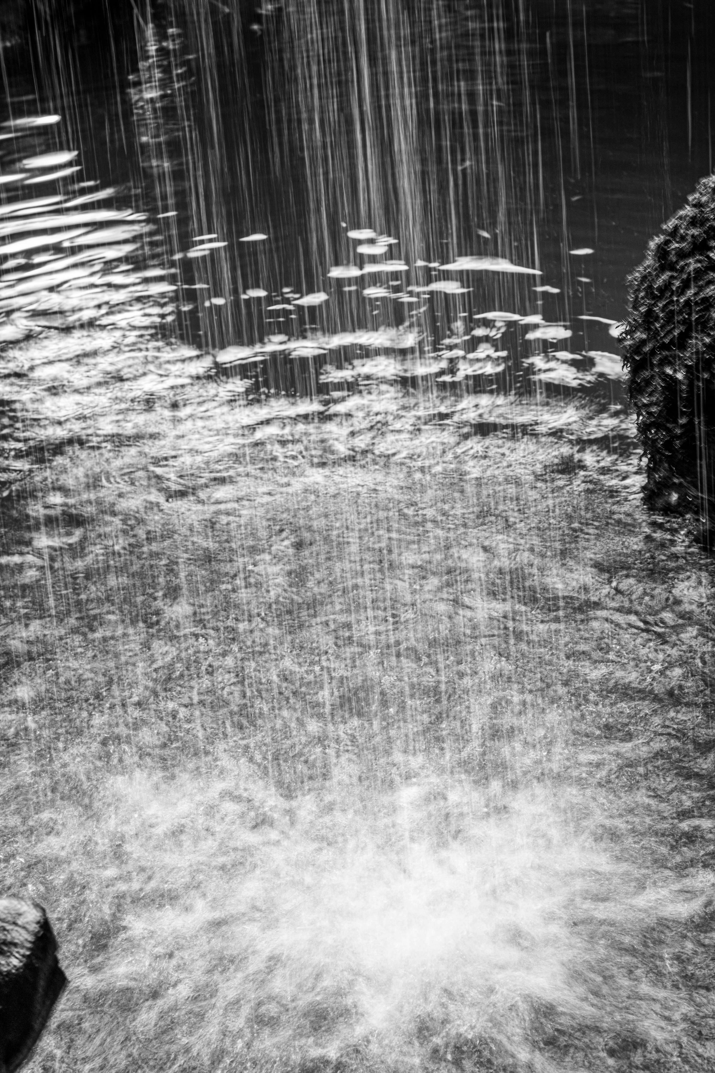 Cascading Ripples in a Gravity-Drawn Jet