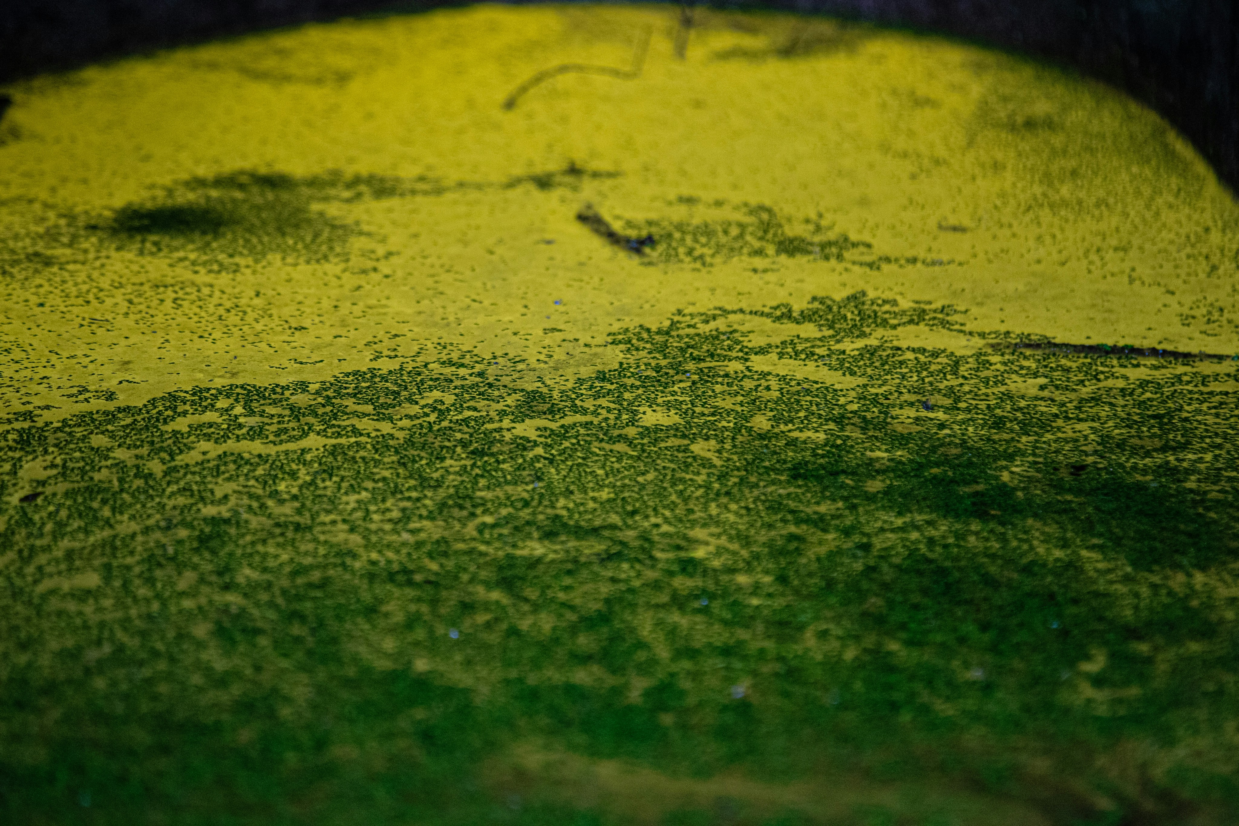 Luminous Green Gradient Over a Mossy Horizon