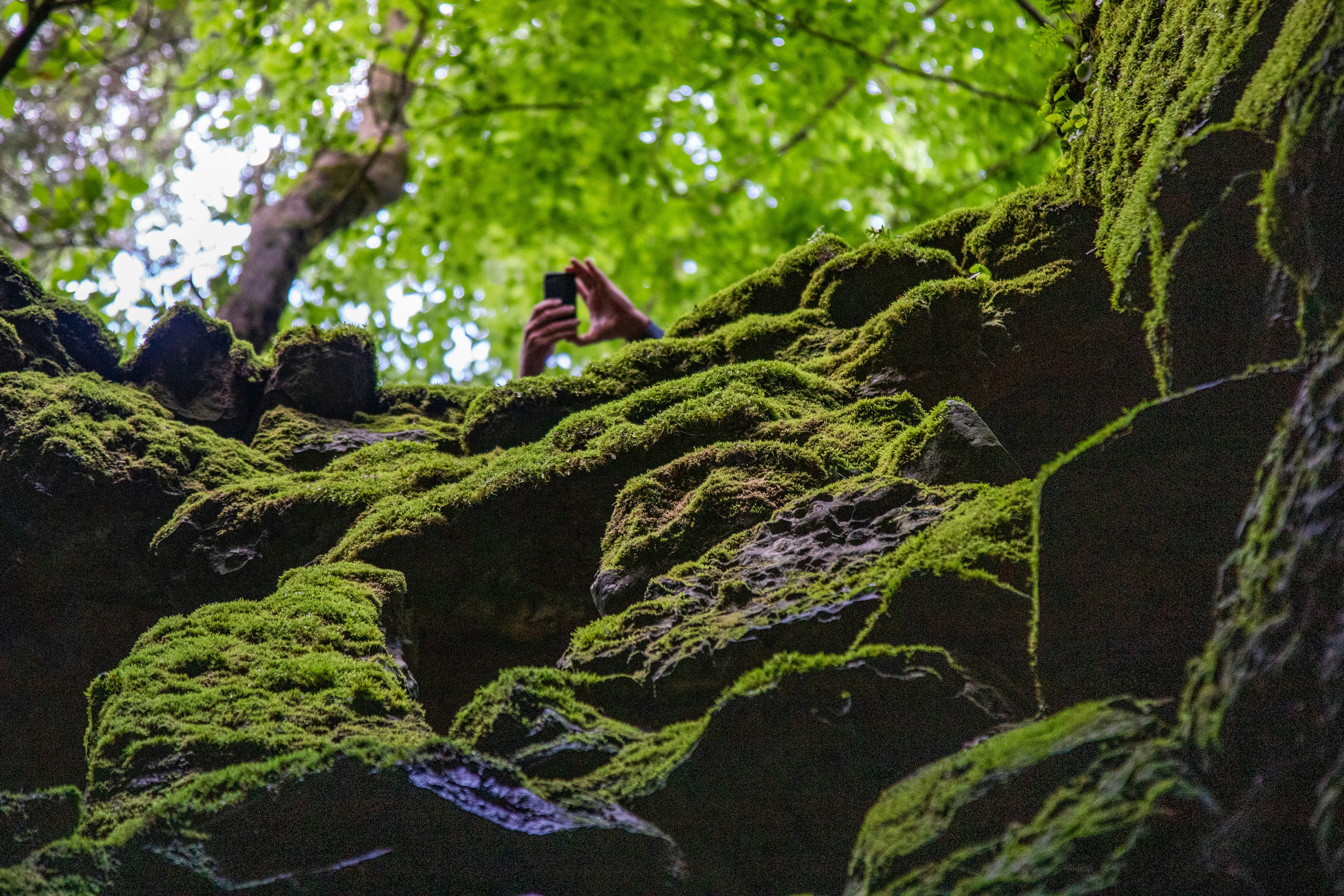 Moss-Capped Cliff Reach: A Hidden Hand Peers from Above