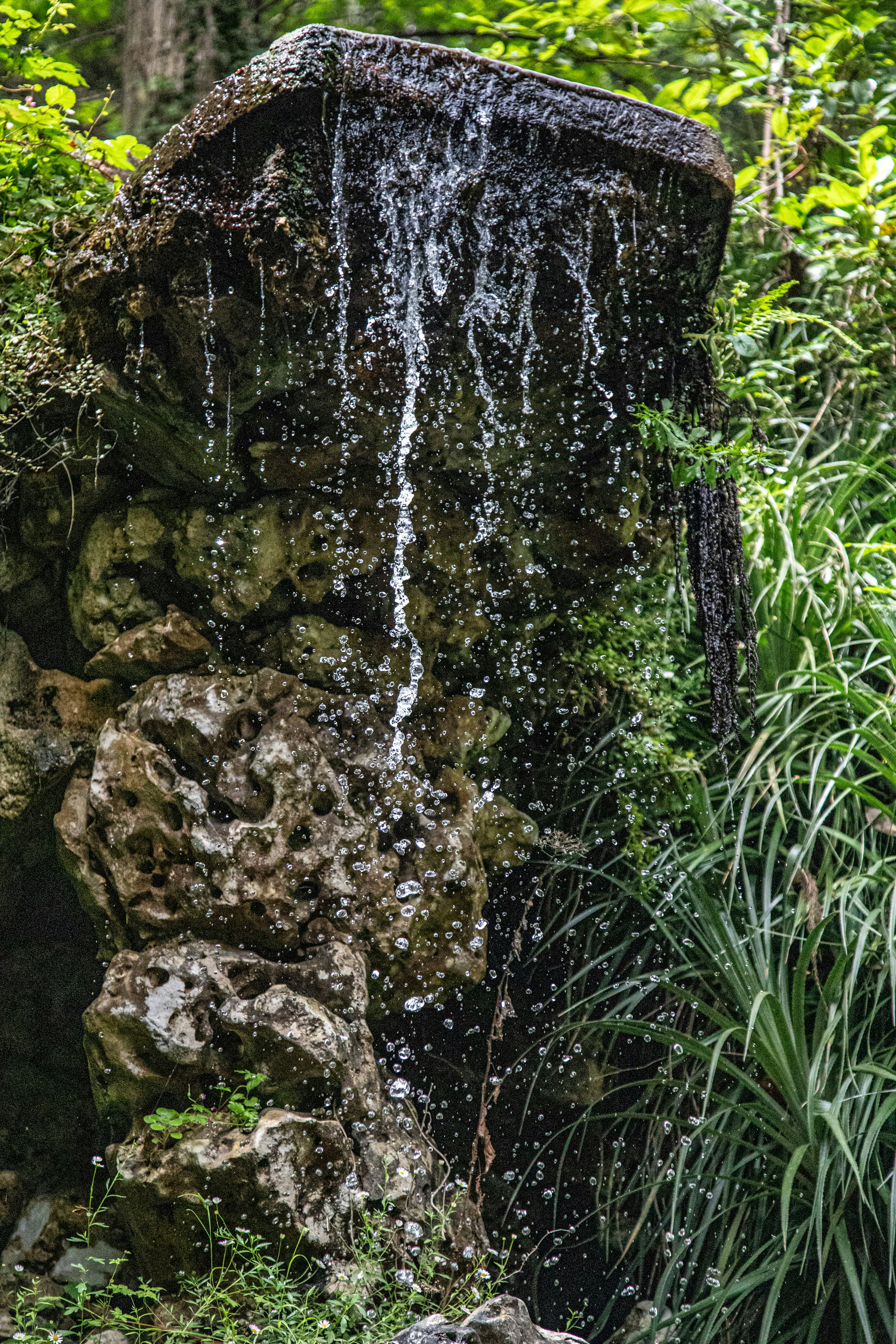 Stone Lip Curtain: Mossy Rock Fountain in a Lush Garden