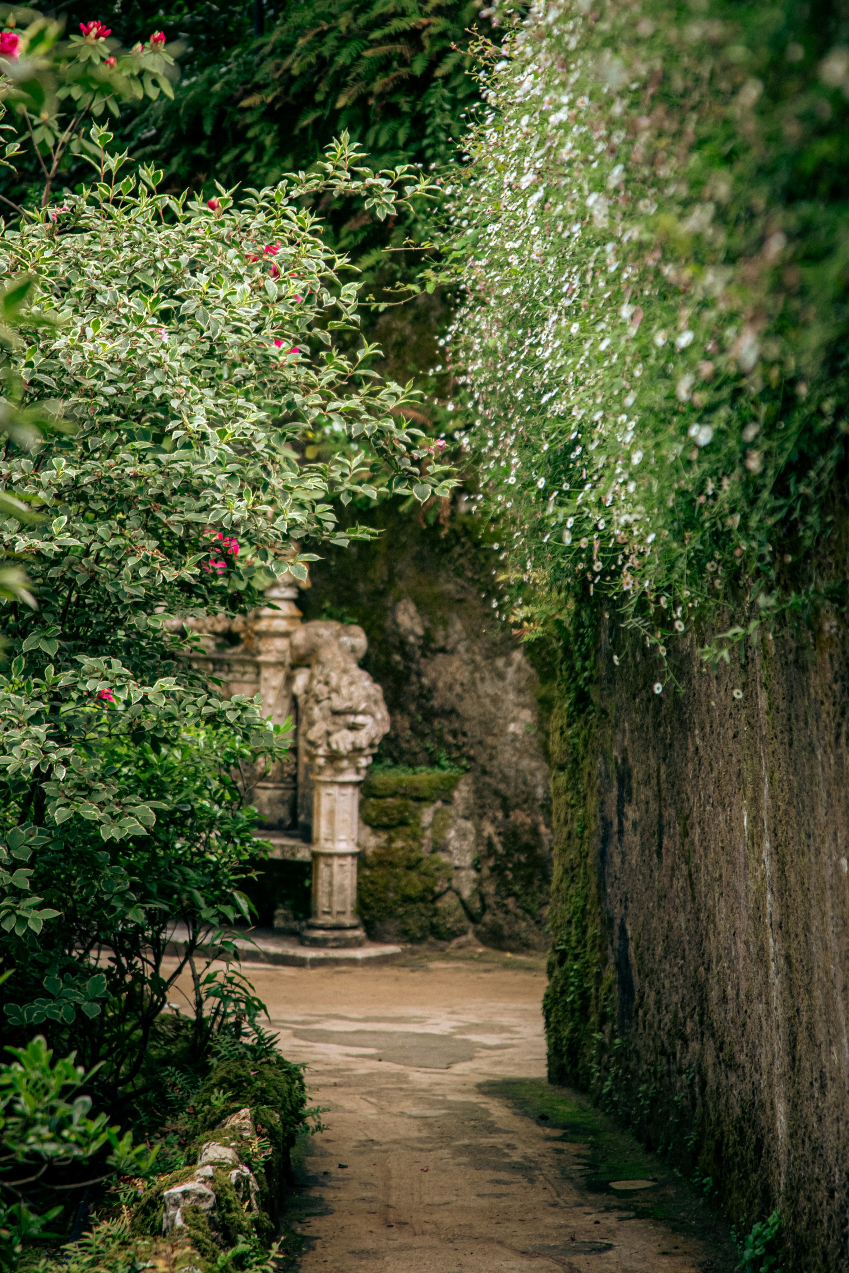 Whispering Path Through a Garden Corridor
