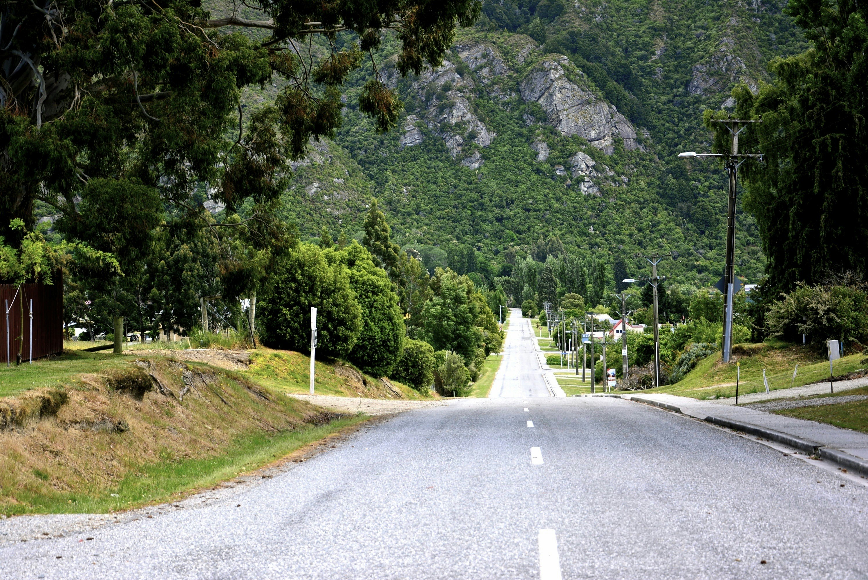 Quiet rural road extending toward distant hills, with trees lining both sides and a clear sky above.
