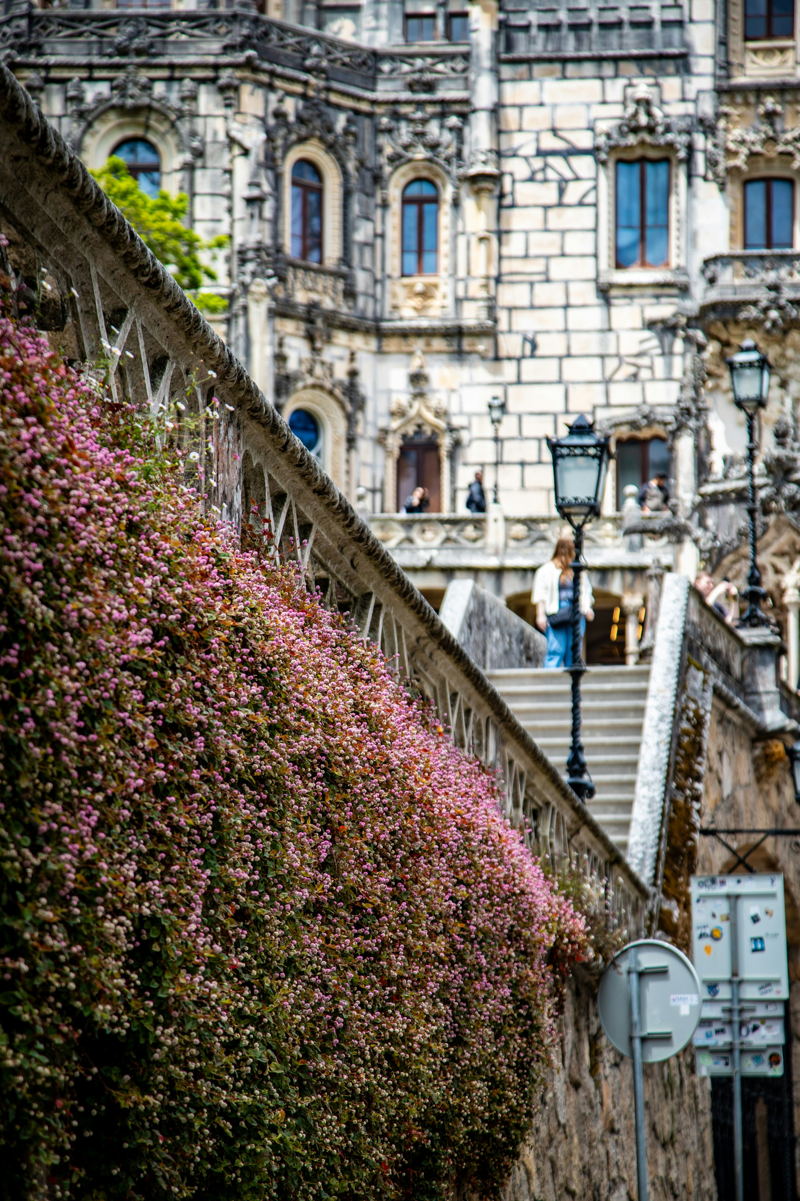 Stairway to Ornament: A Facade Framed by Blooming Ledge