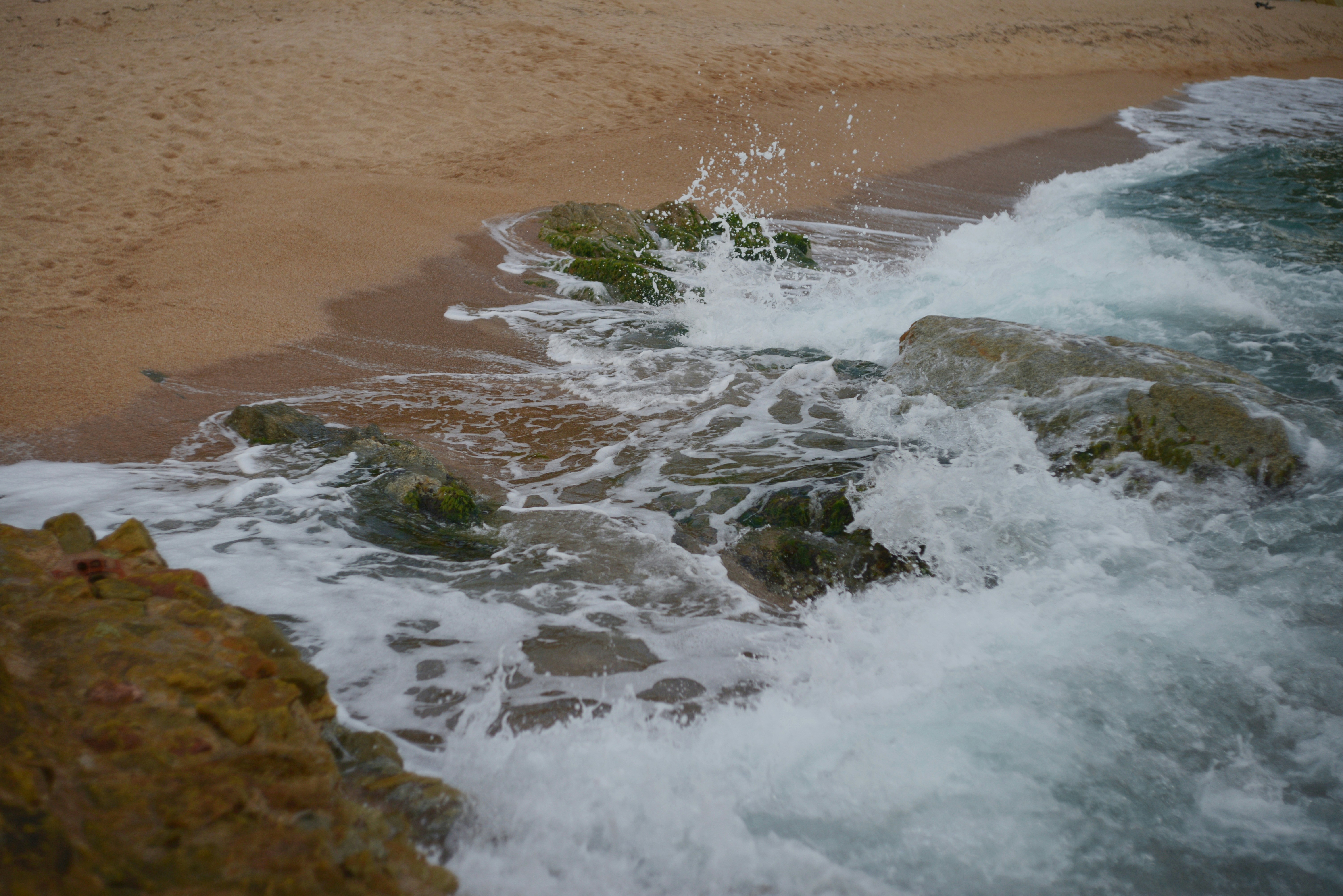 Foamy shoreline Convergence: Waves Conquer the Rocks