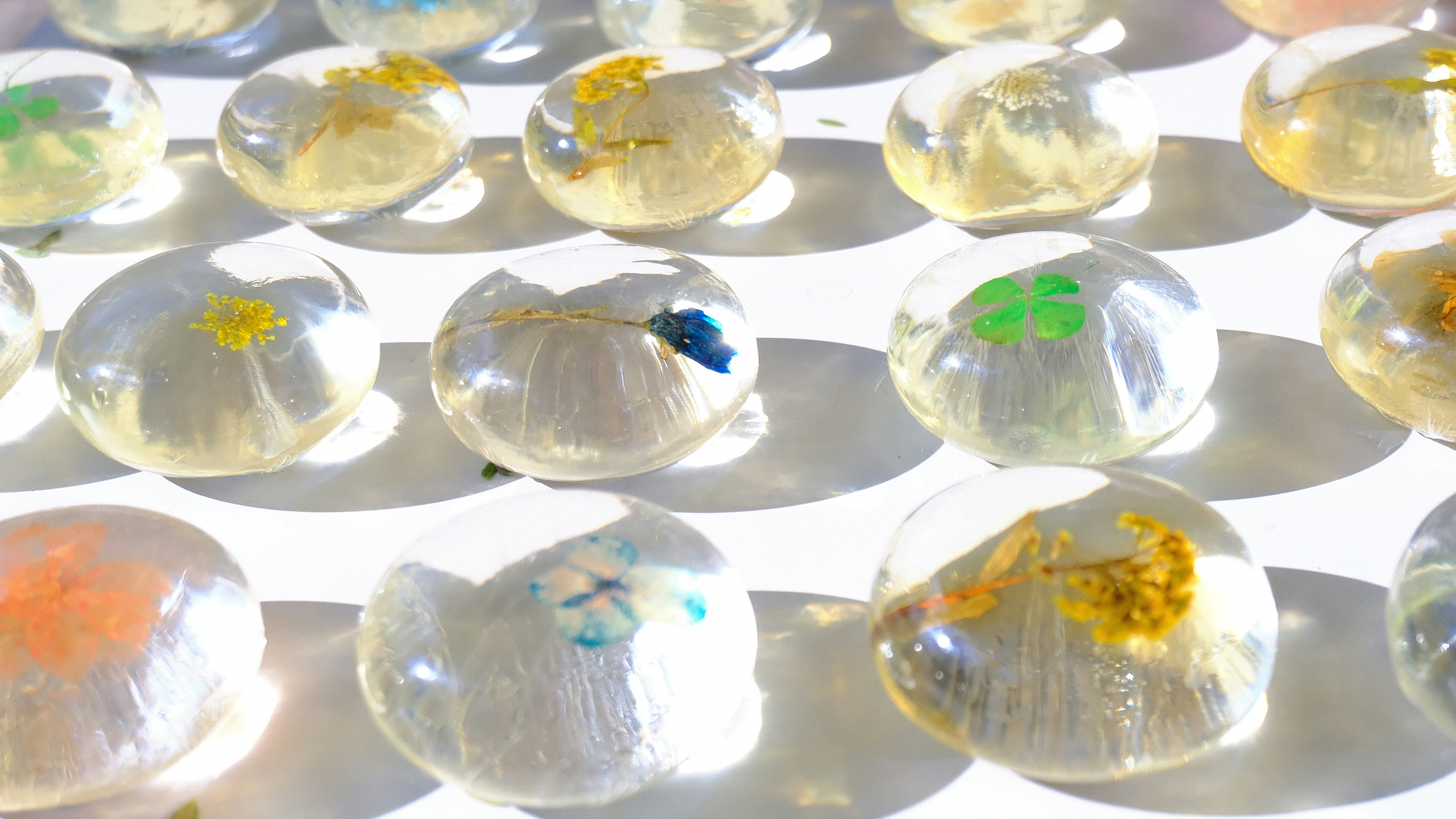 Floating Orbs: Colored Seeds Beneath a Glassy Sea