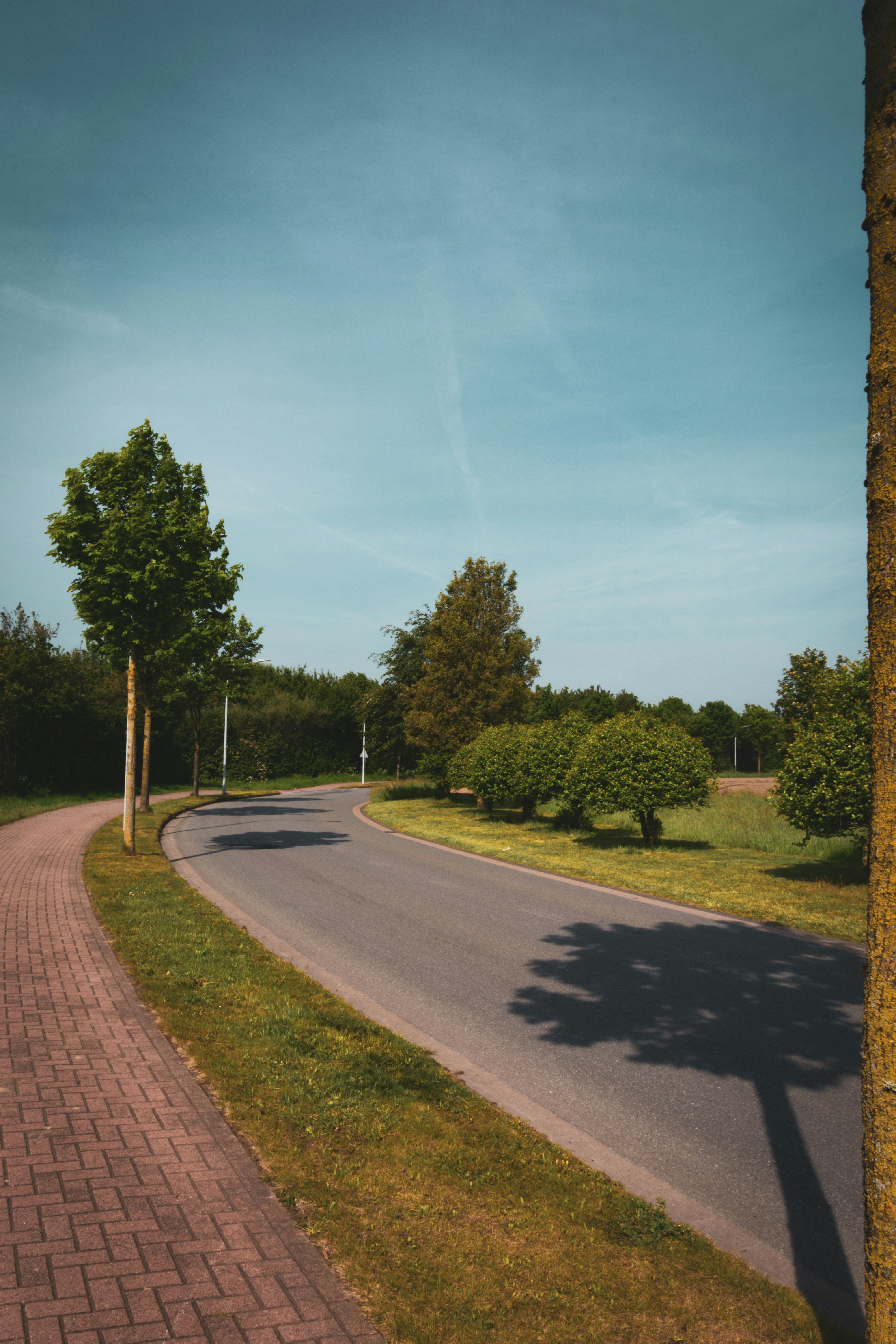 Curved Road Through a Park Under a Clear Sky