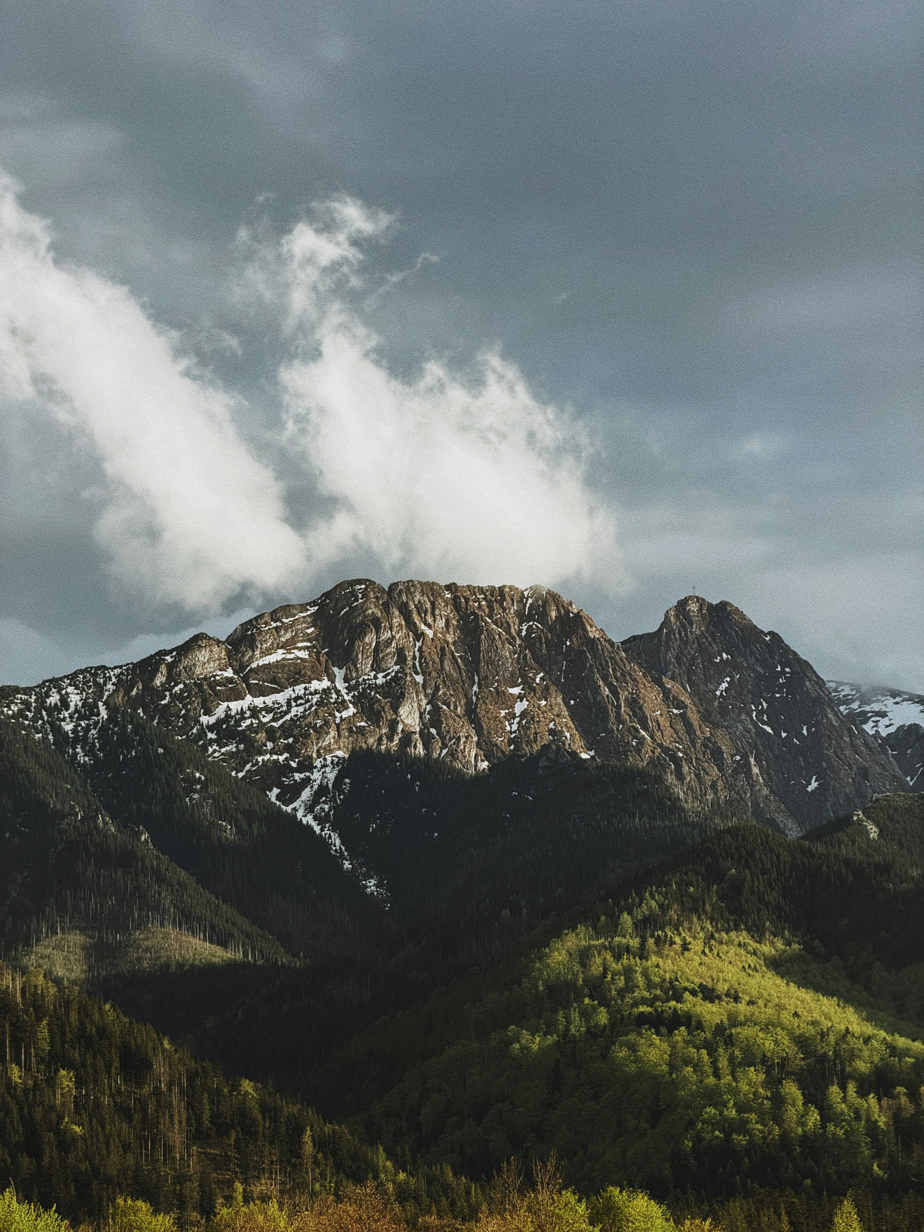 Snow-capped Peak Rising Above a Pine-Strewn Valley