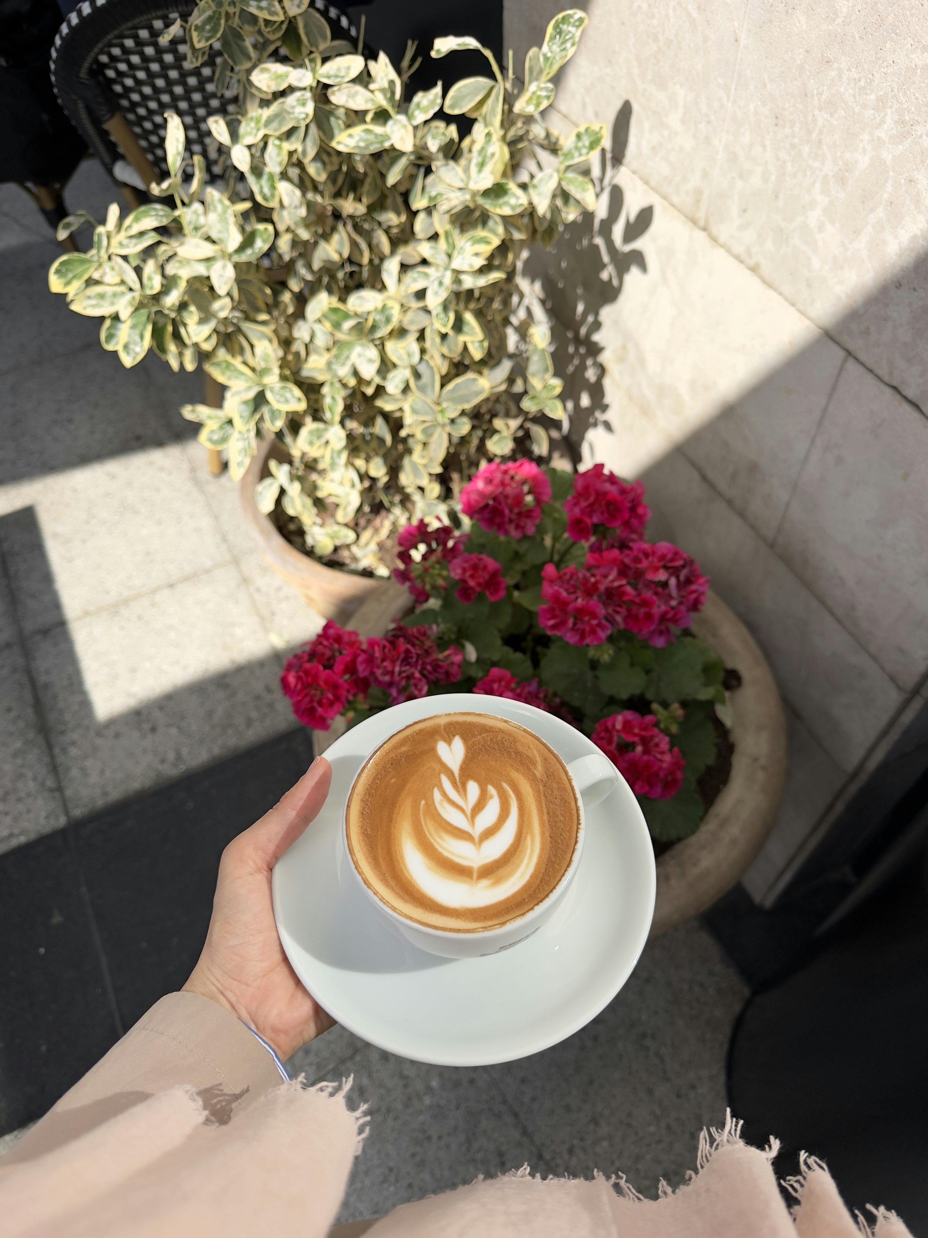 A Latte Between Florals: Coffee Close-Up from Above