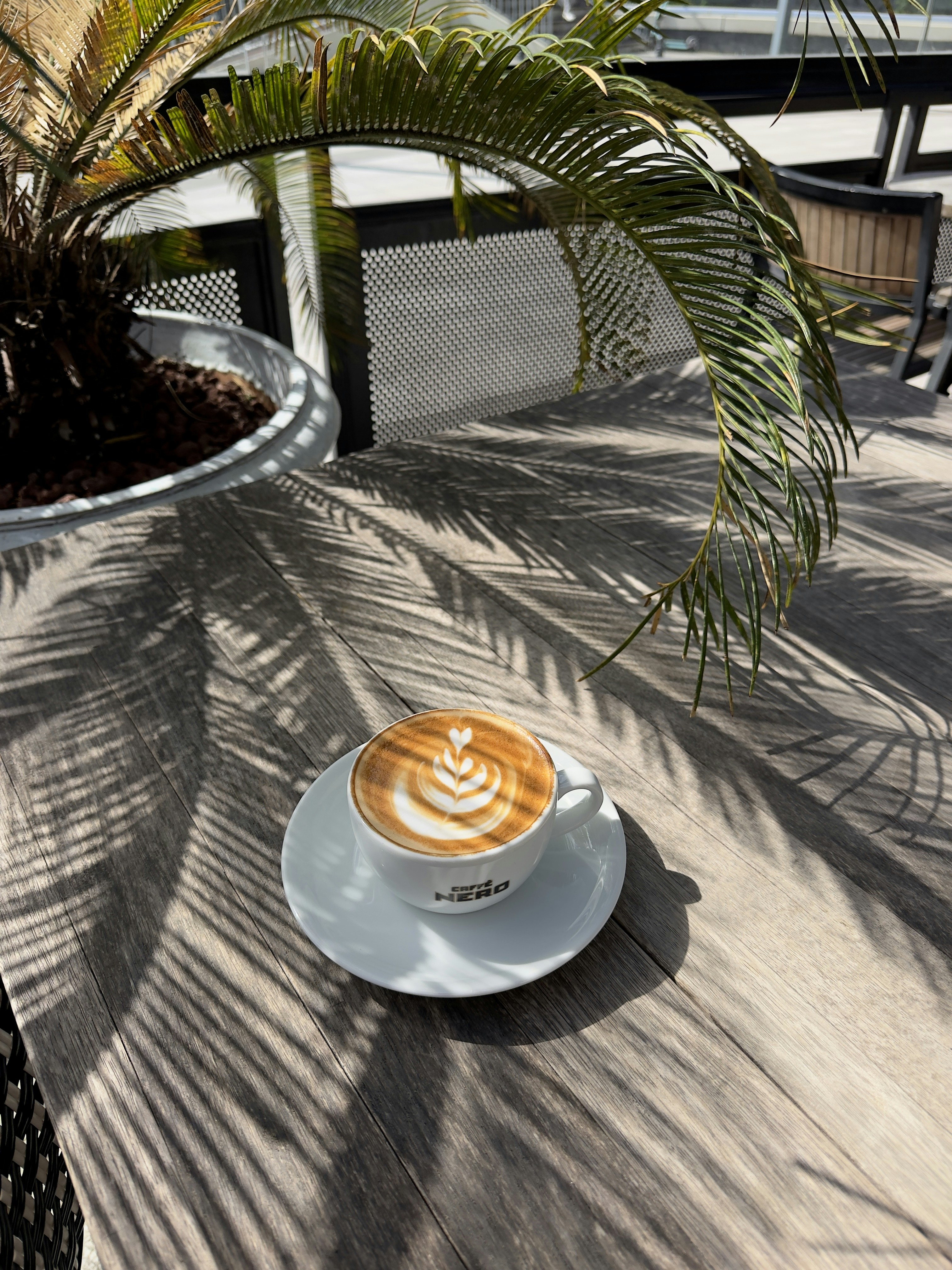 Sunlit Cafe Latte with Palm Shadows