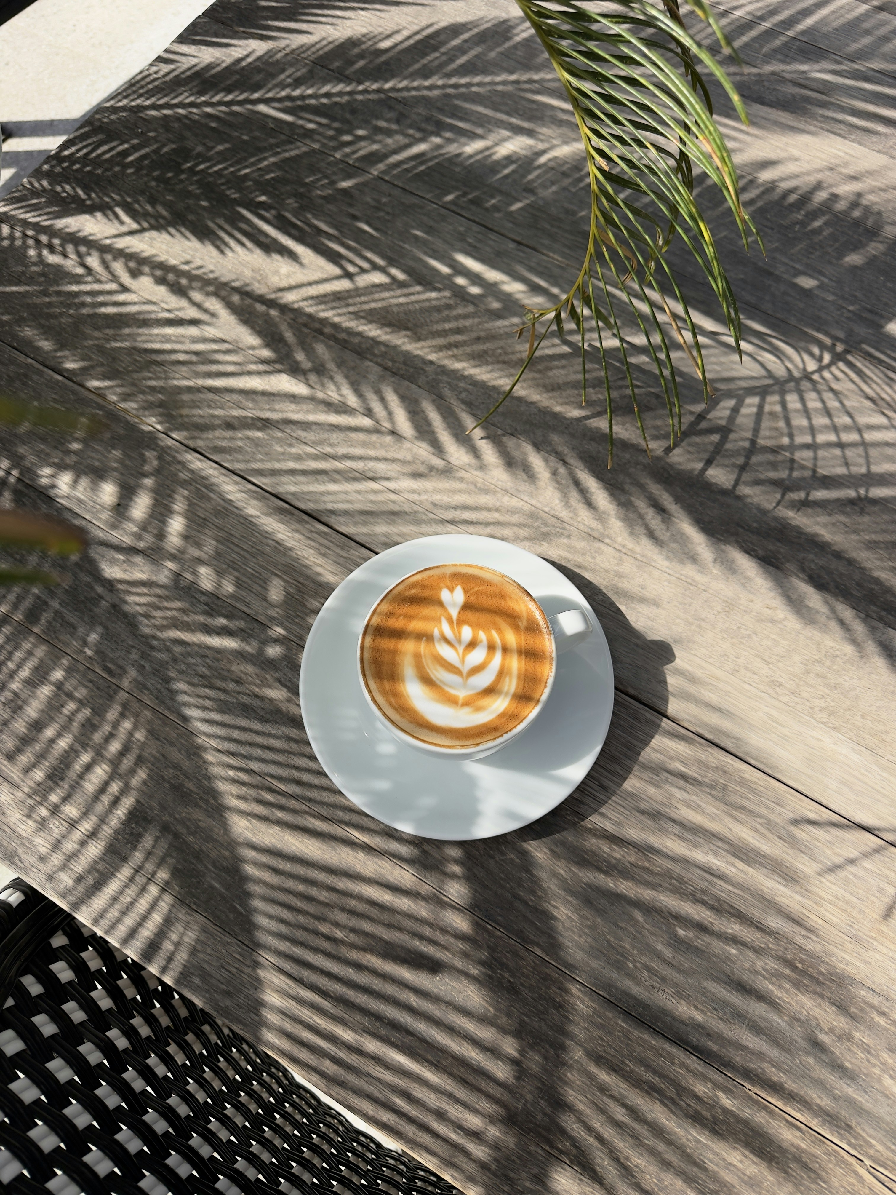 Cafe Bloom: Latte Art Casting Shadows on a Wooden Terrace