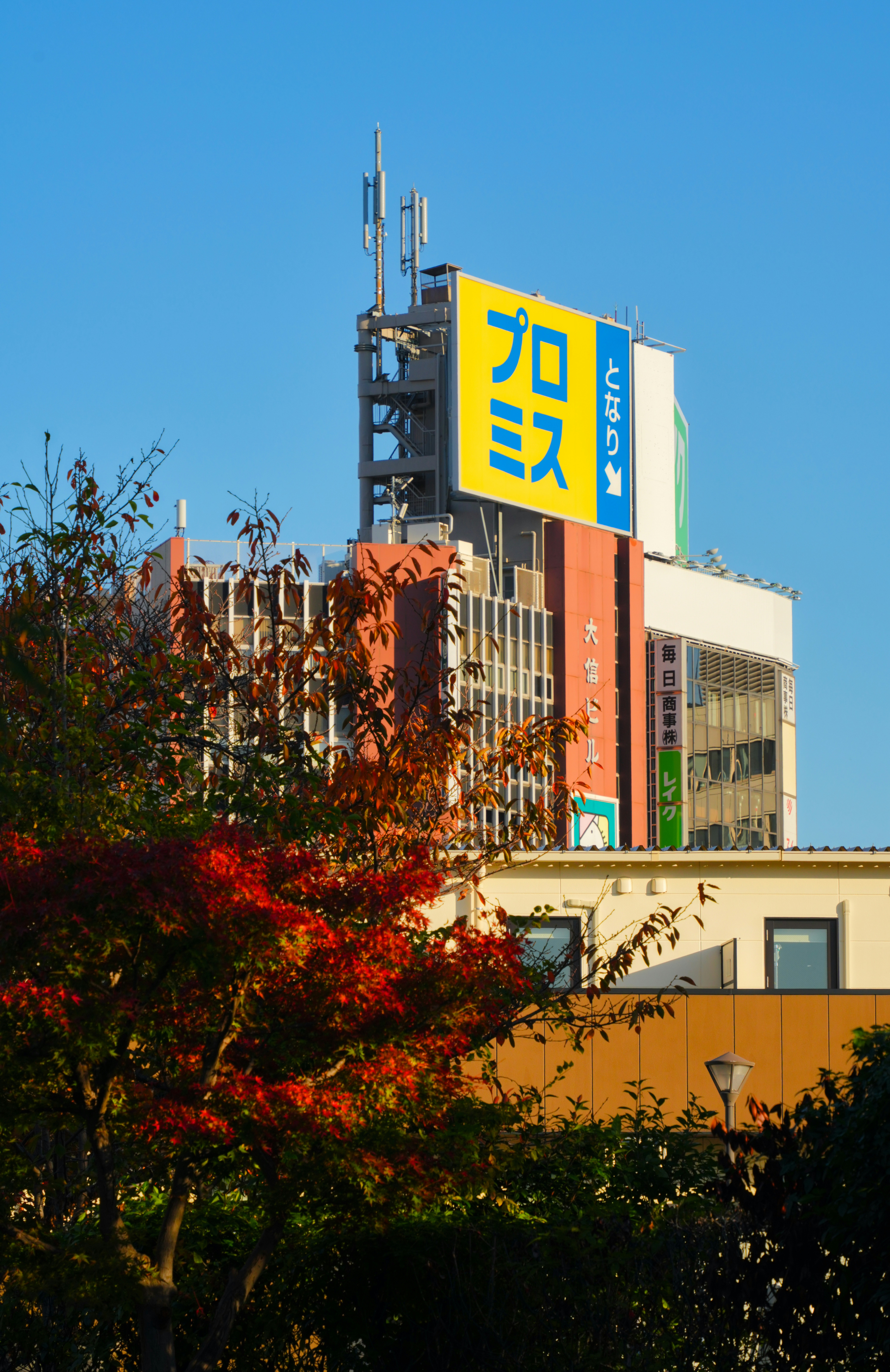 Building with large yellow sign and autumn leaves.