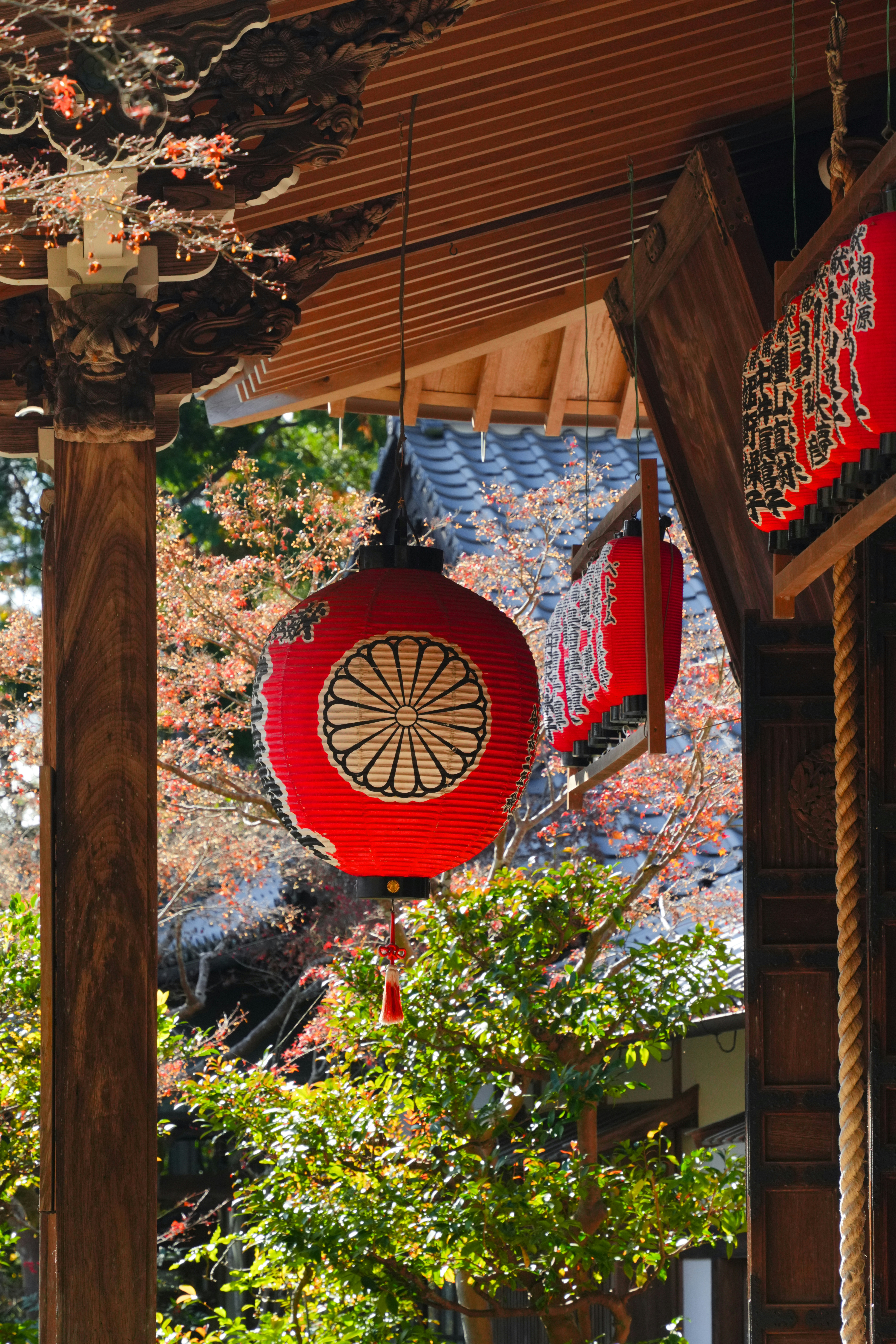 Red Lantern in a Sacred Corridor