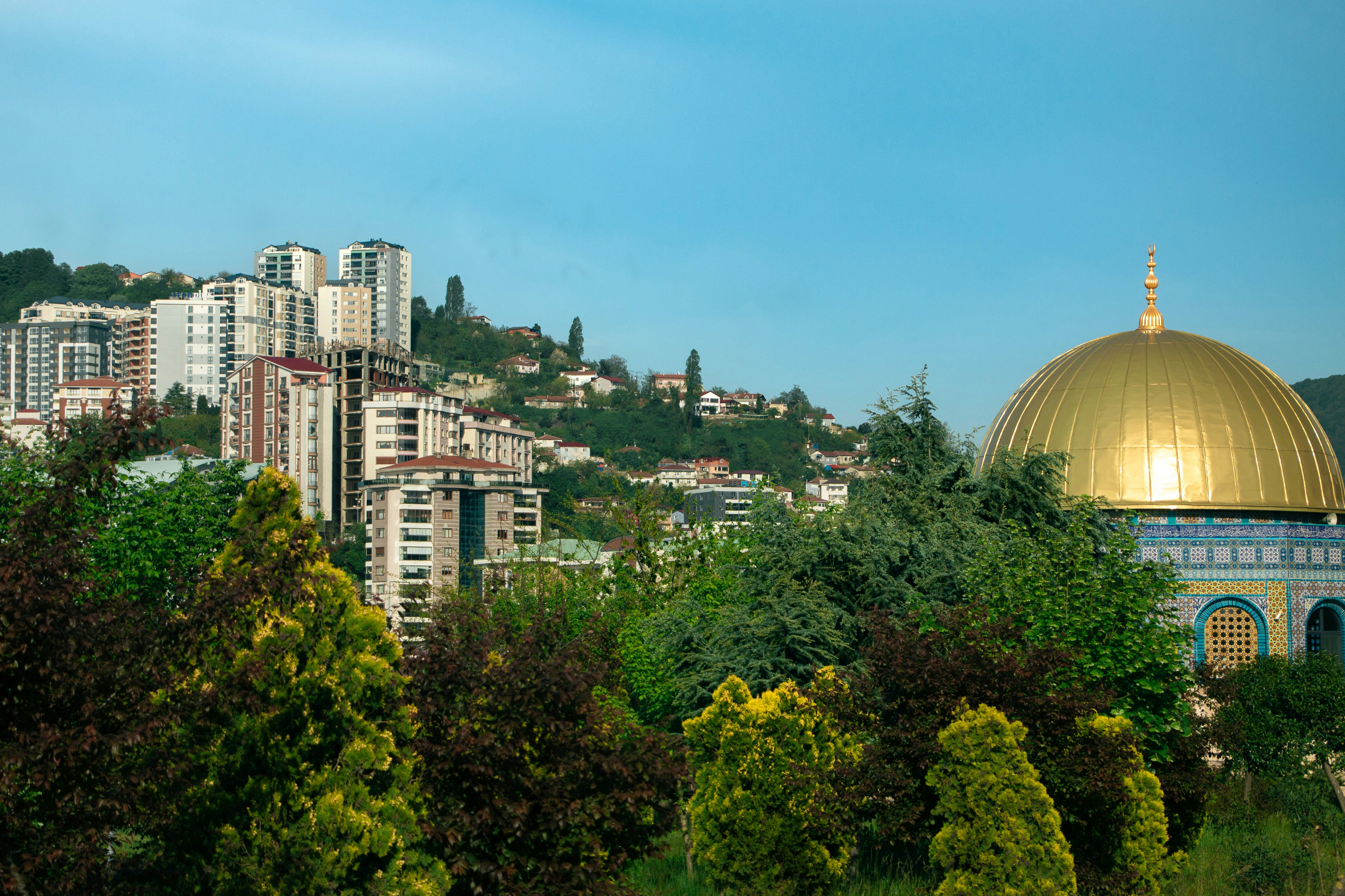 Golden Dome Over Urban Canopy