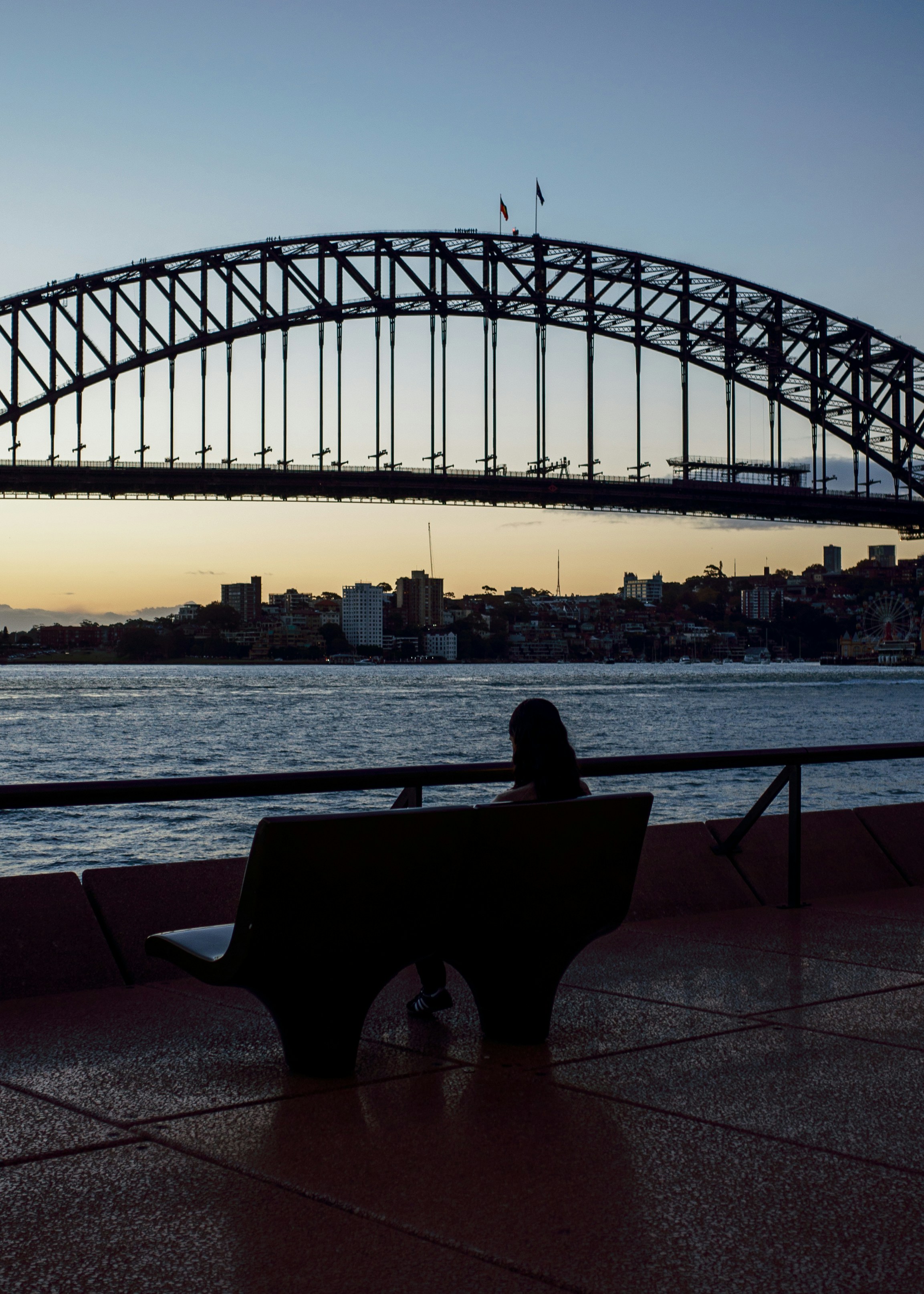 Silhouette at Dusk Beneath the Harp of Steel