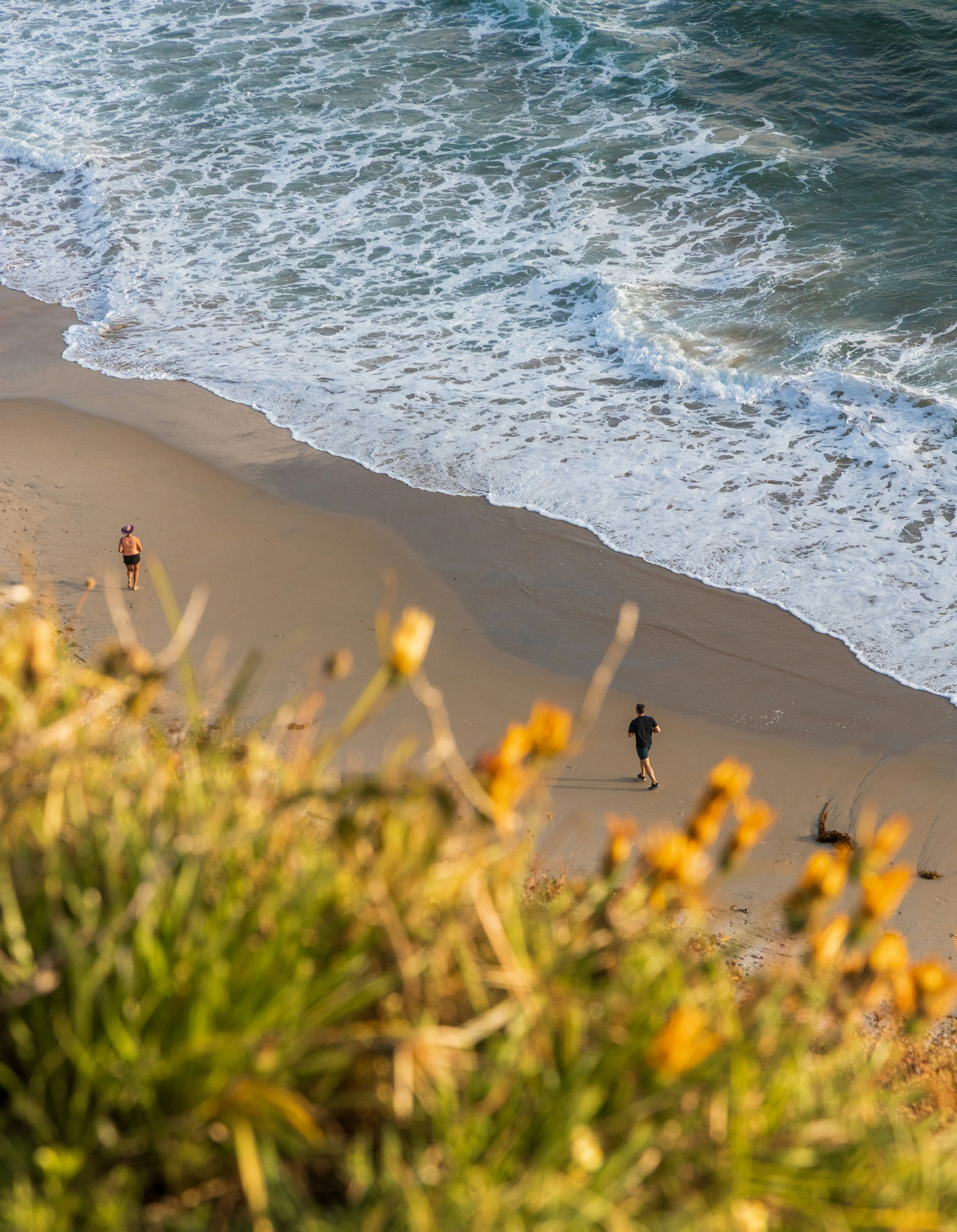 Waves Whisper onto a Quiet Shore Beneath a Fringed Cliff
