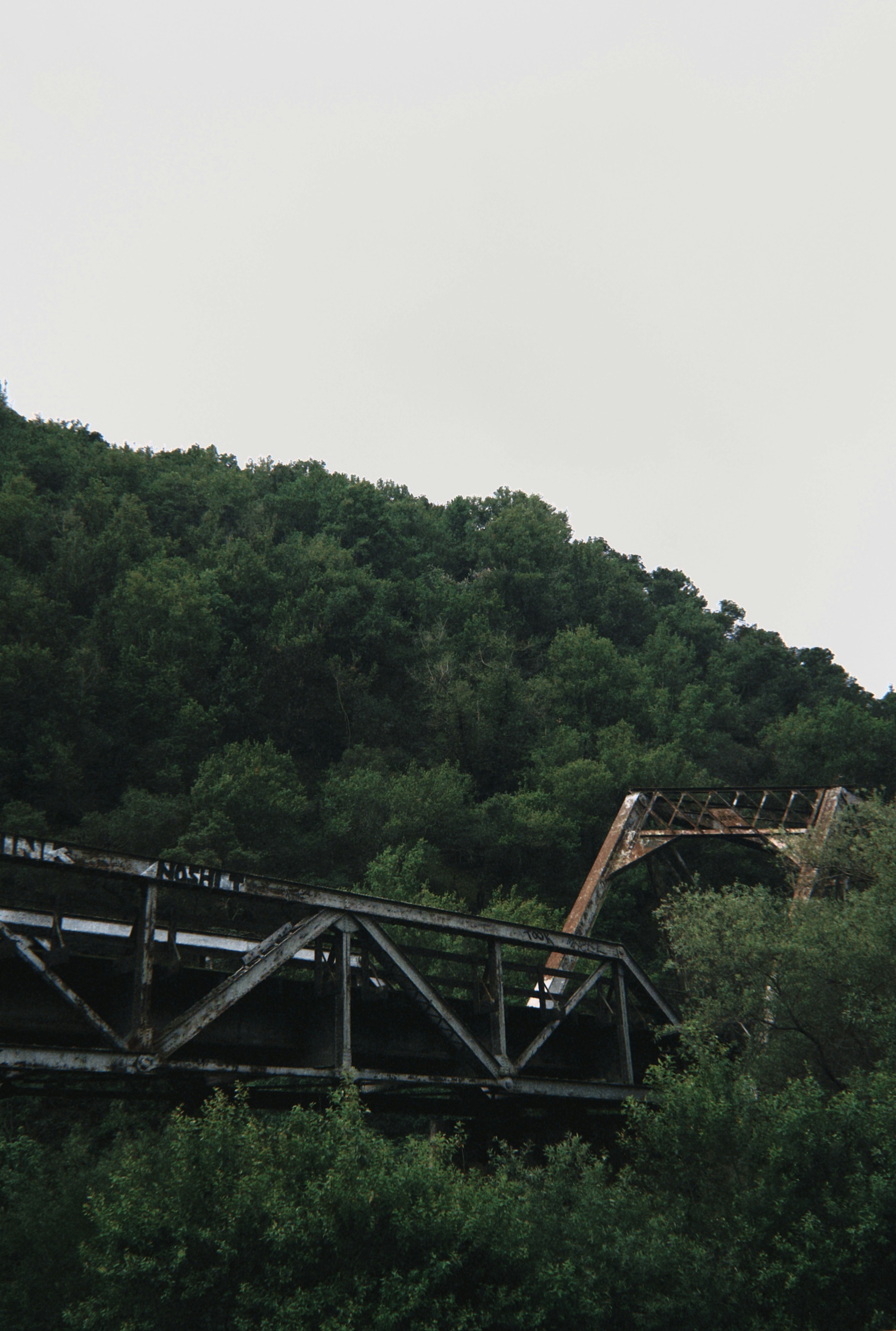 Overgrown Bridge Amid Green Hills