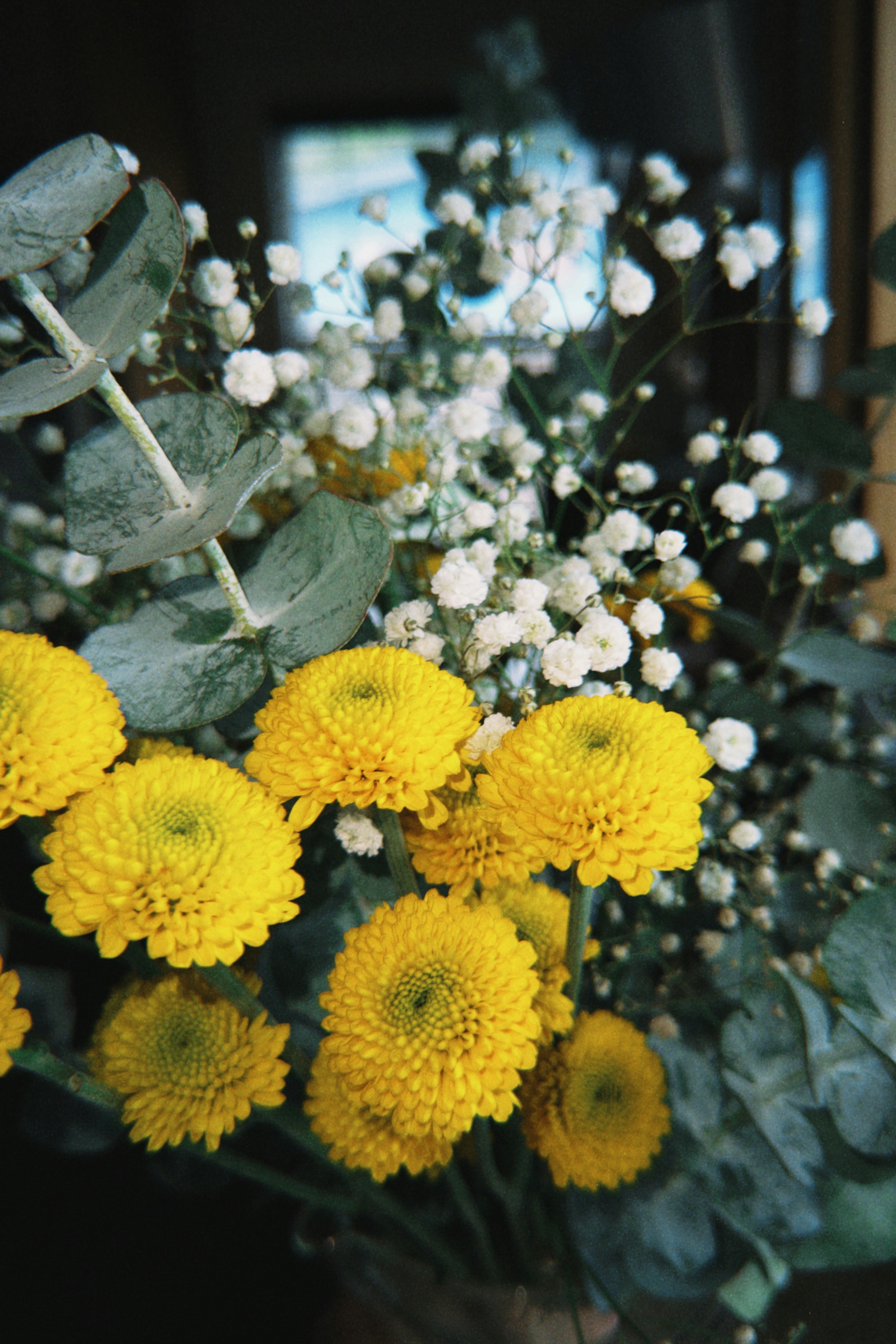 Yellow Chrysanthemums Burst with Golden Texture in a Lush Bouquet