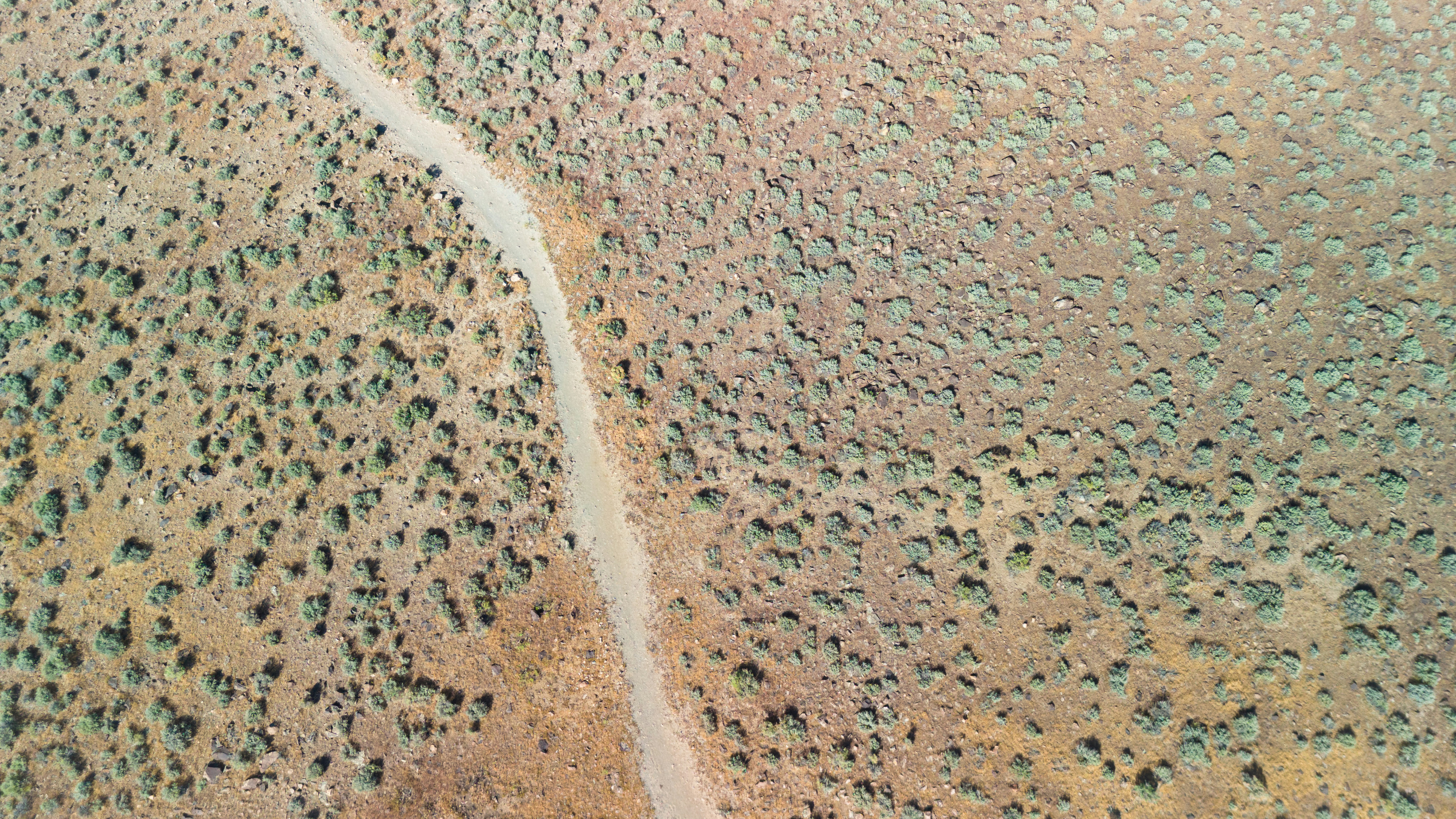 Desert Corridors: Aerial Path Winding Through Drought-Scarred Terrain