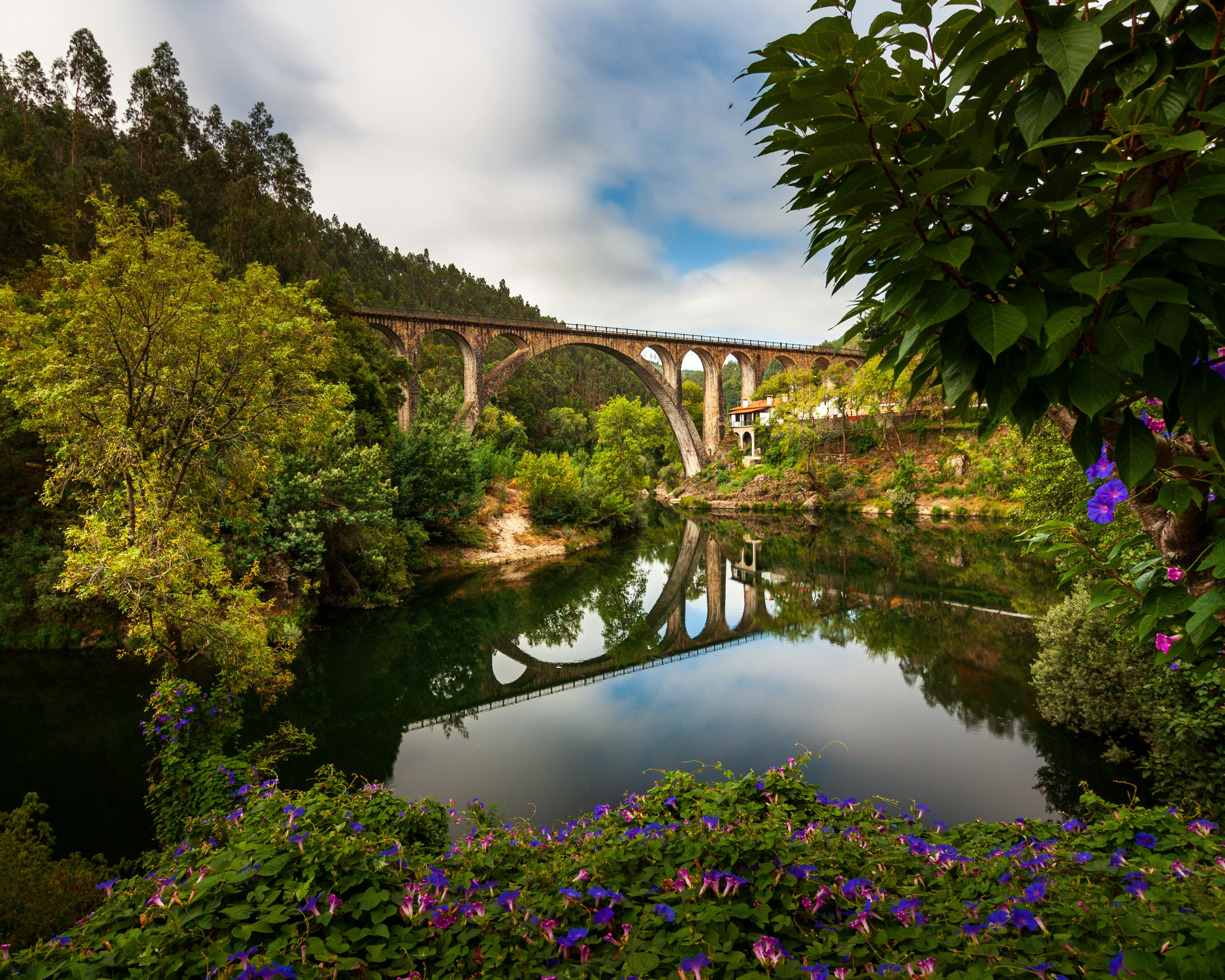 Bridge of Echoes Over a Serene River