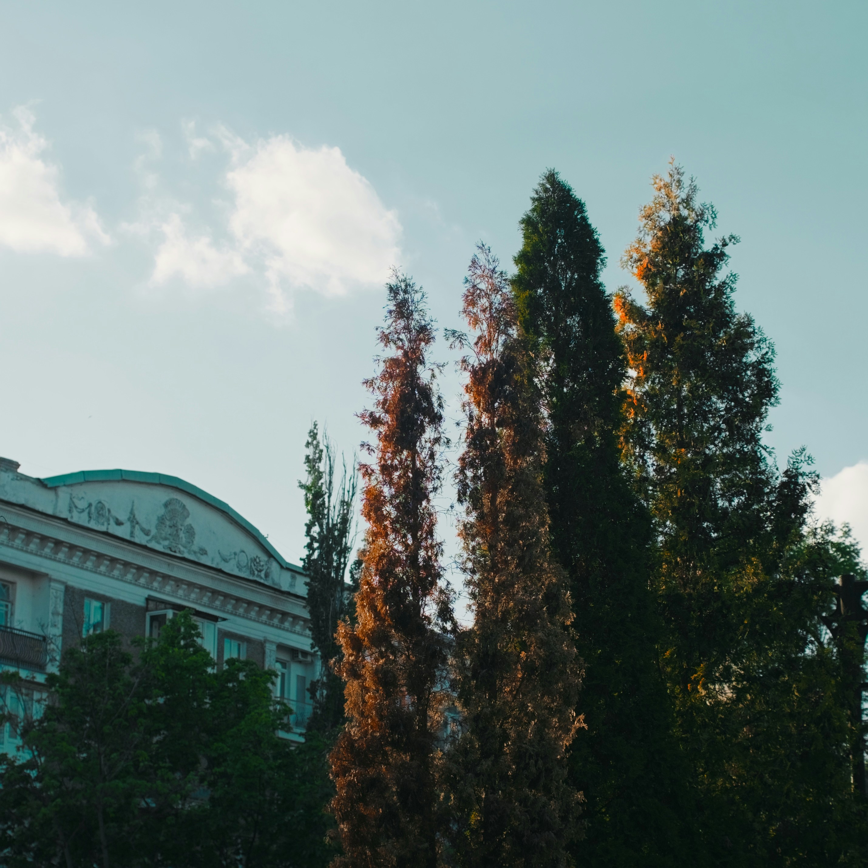 Quiet Campus Facade Framed by Dusk-tinged Laurels