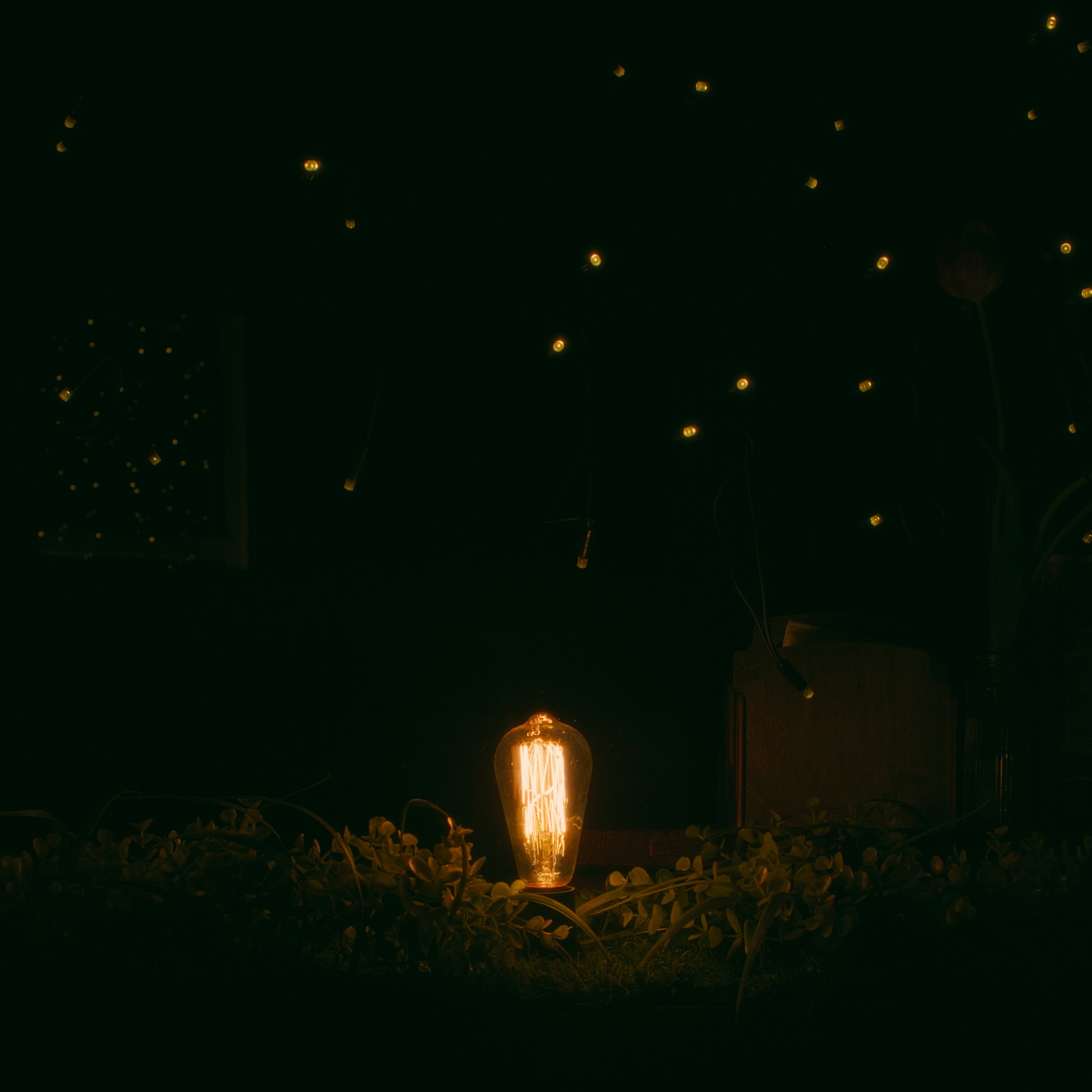 Lone Edison Glow: A Quiet Flame in the Night Garden