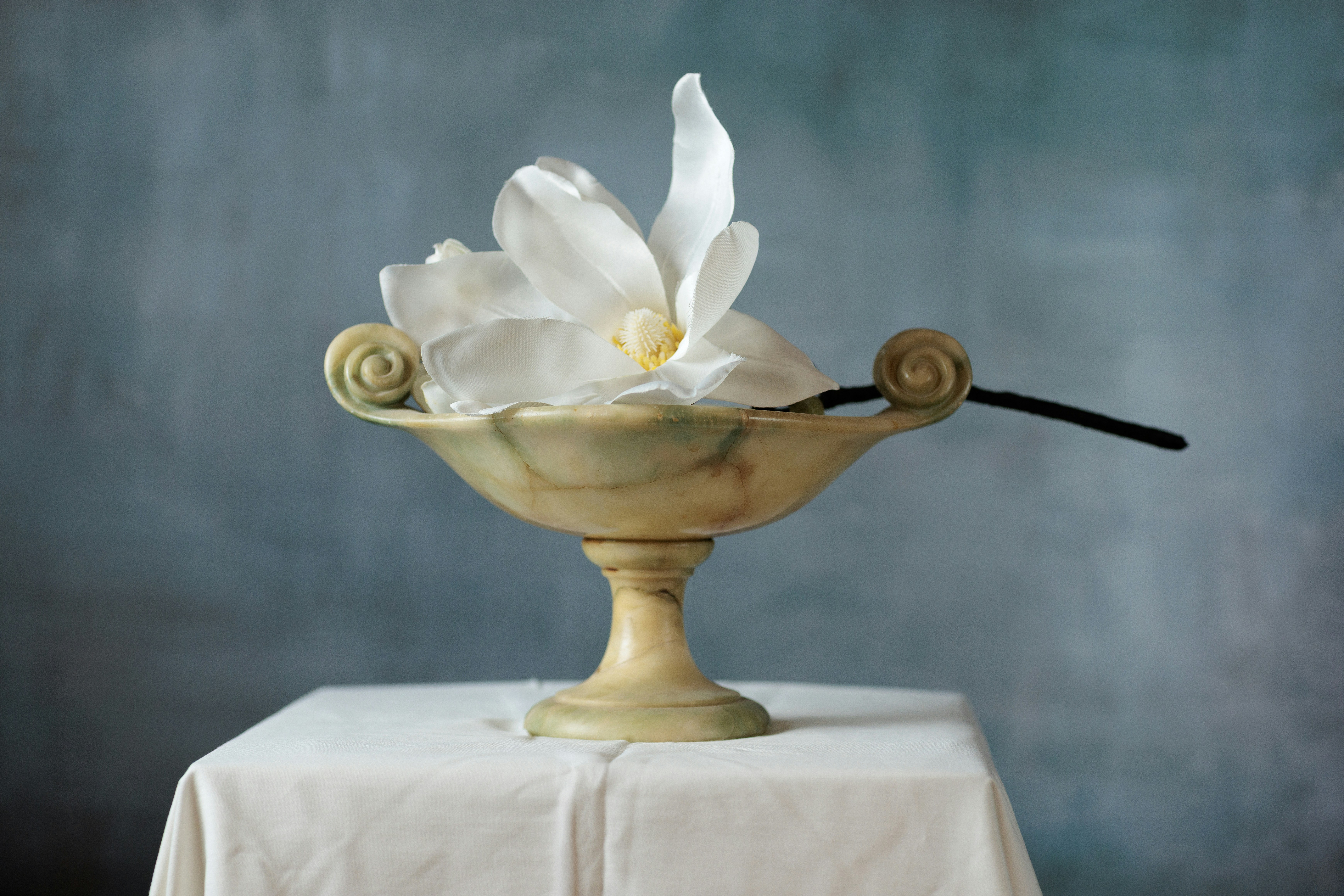 White Magnolia Bloom Resting on a Pale Pedestal