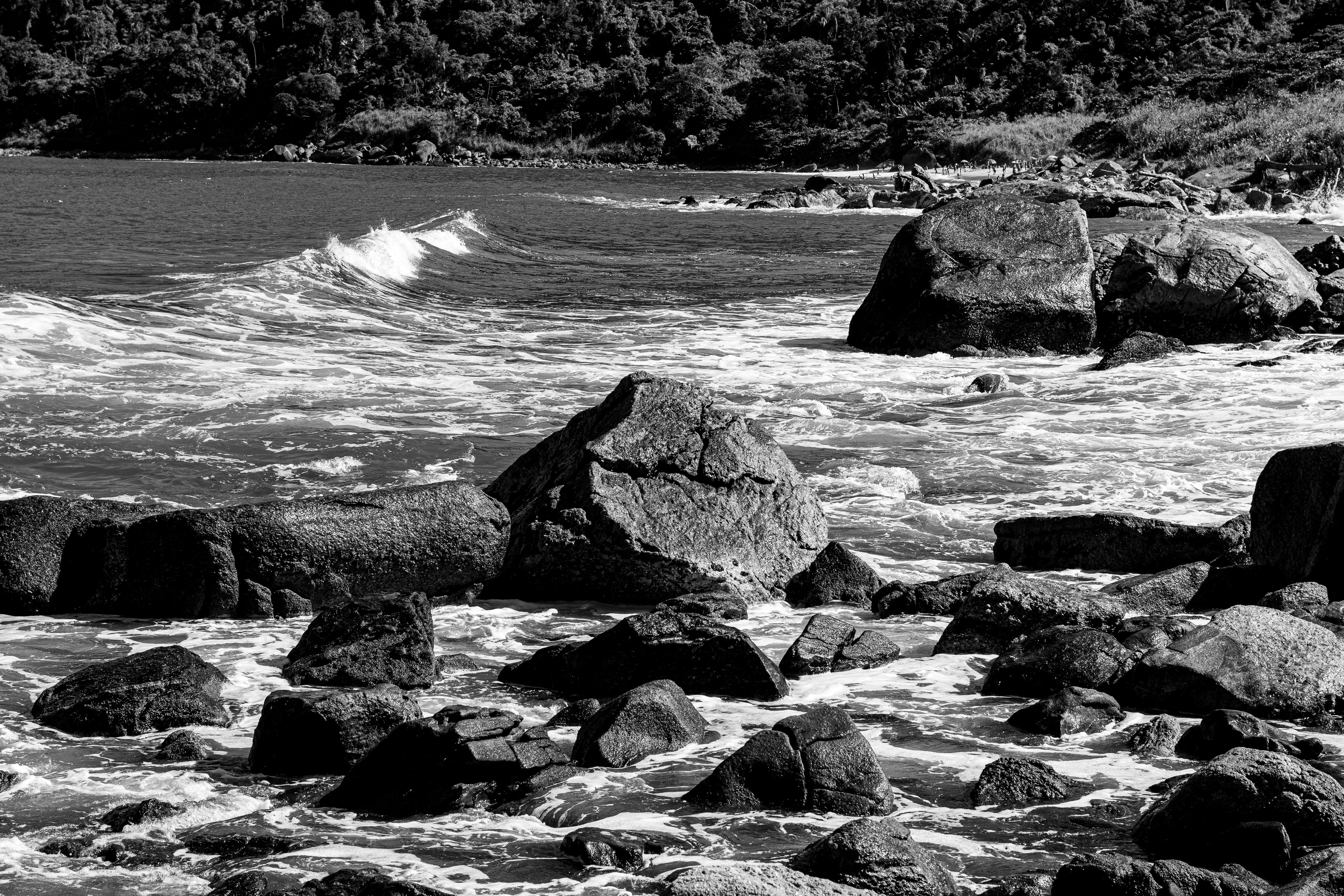 Rugged shoreline in monochrome: rocks, waves, and distant tree line