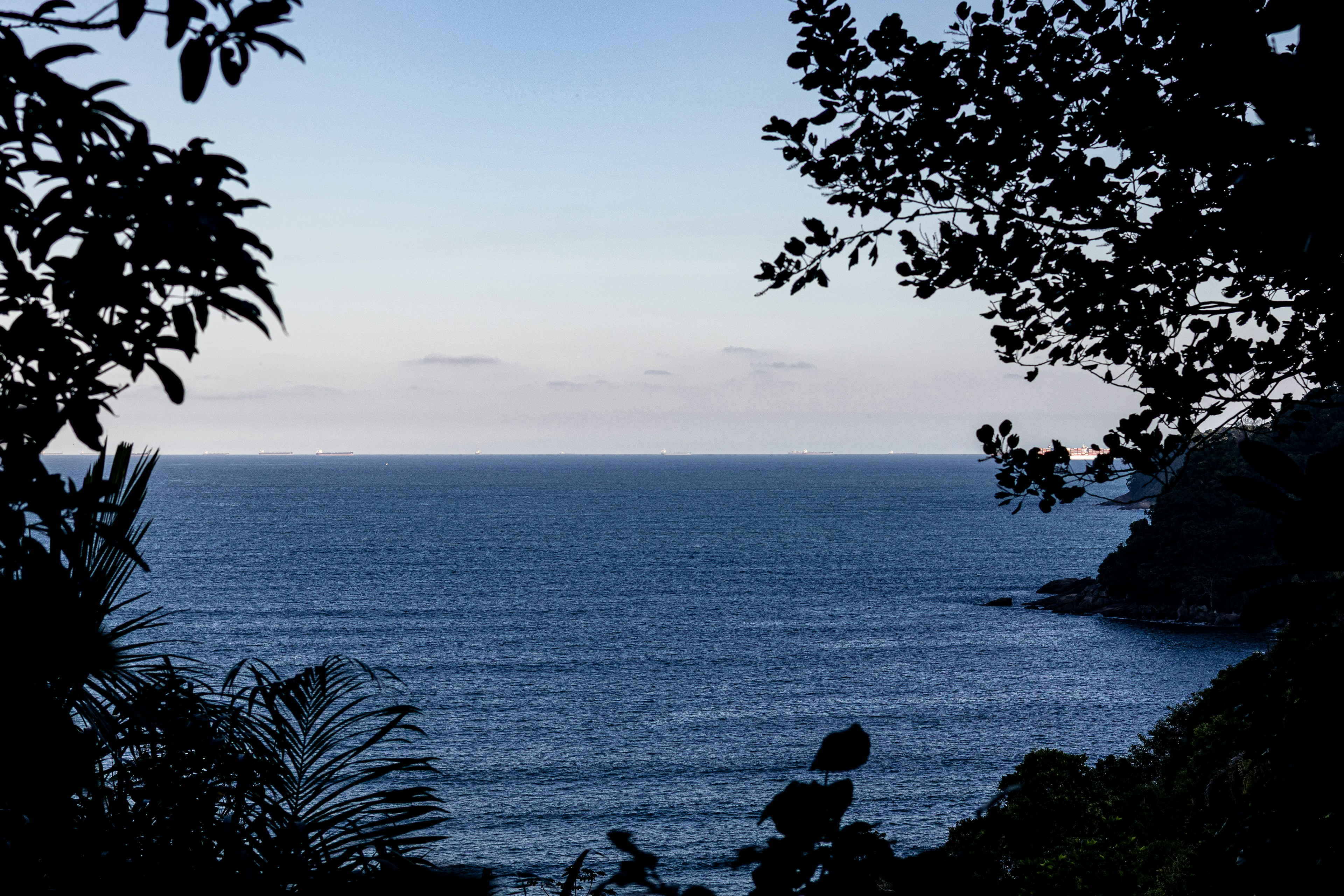 Framed Horizon: Sea View through Coastal Silhouettes