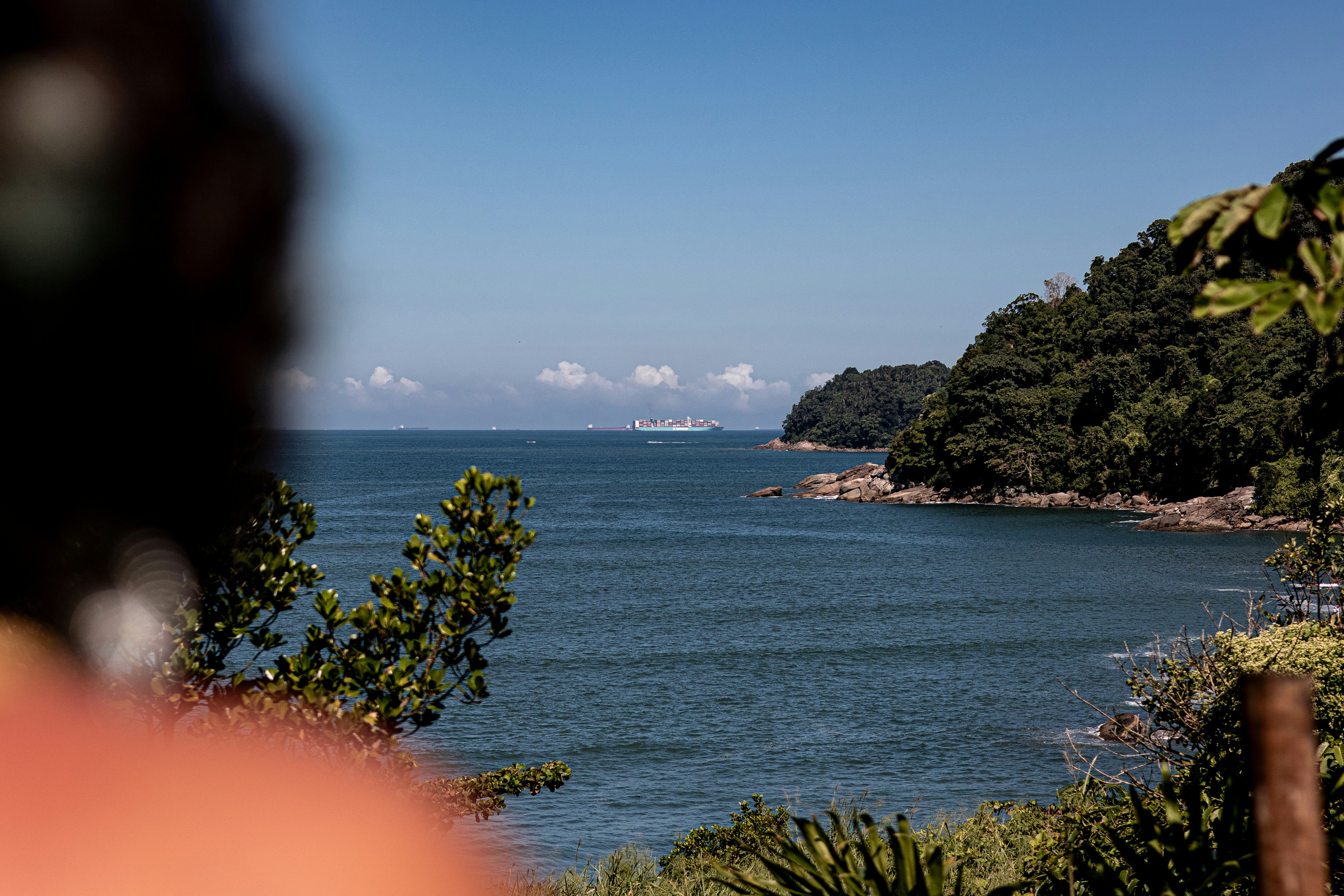 Coastal View Through Framing Foliage