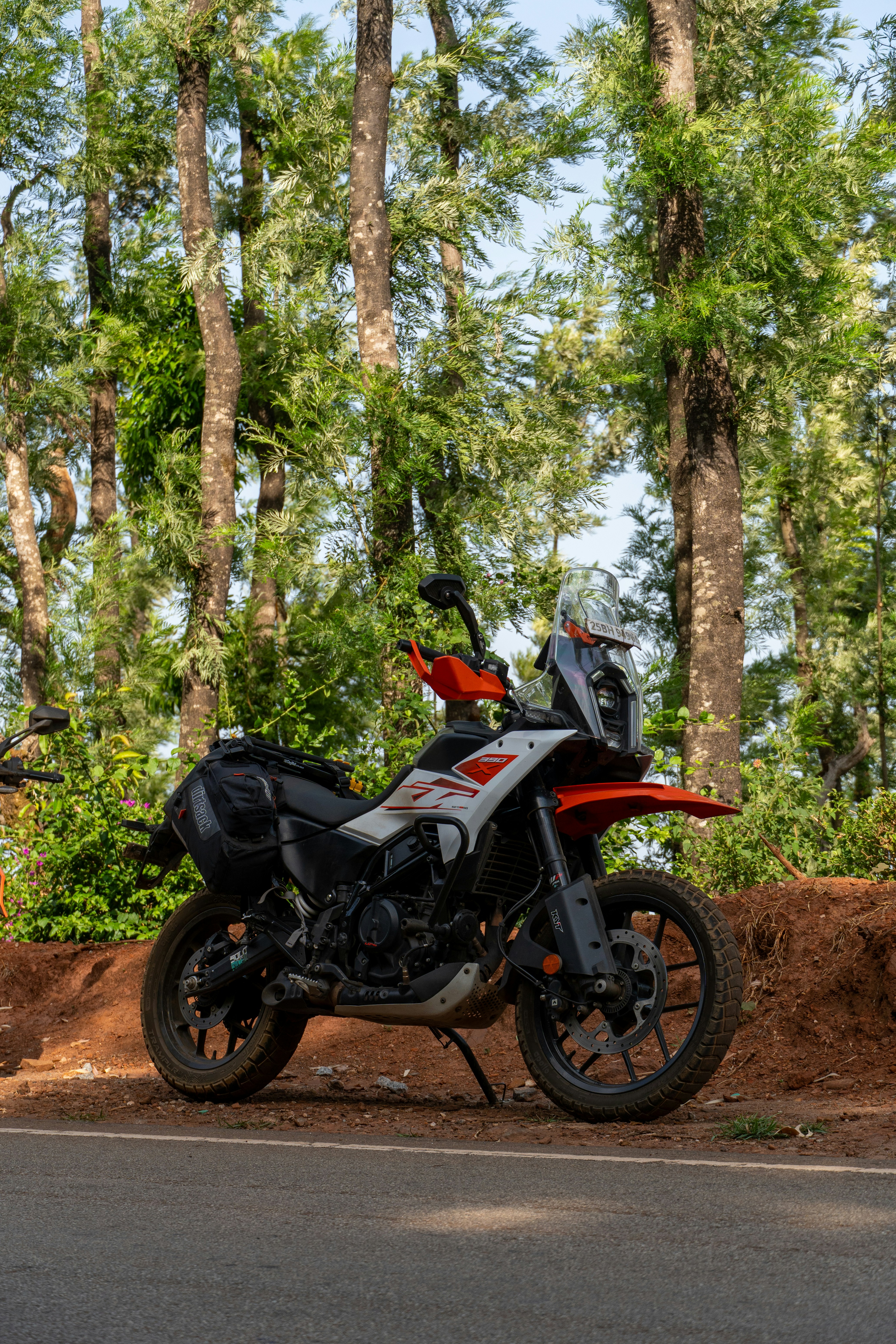 Adventure in the Woods: Red-Accent Dual-Sport at Rest on a Forest Road