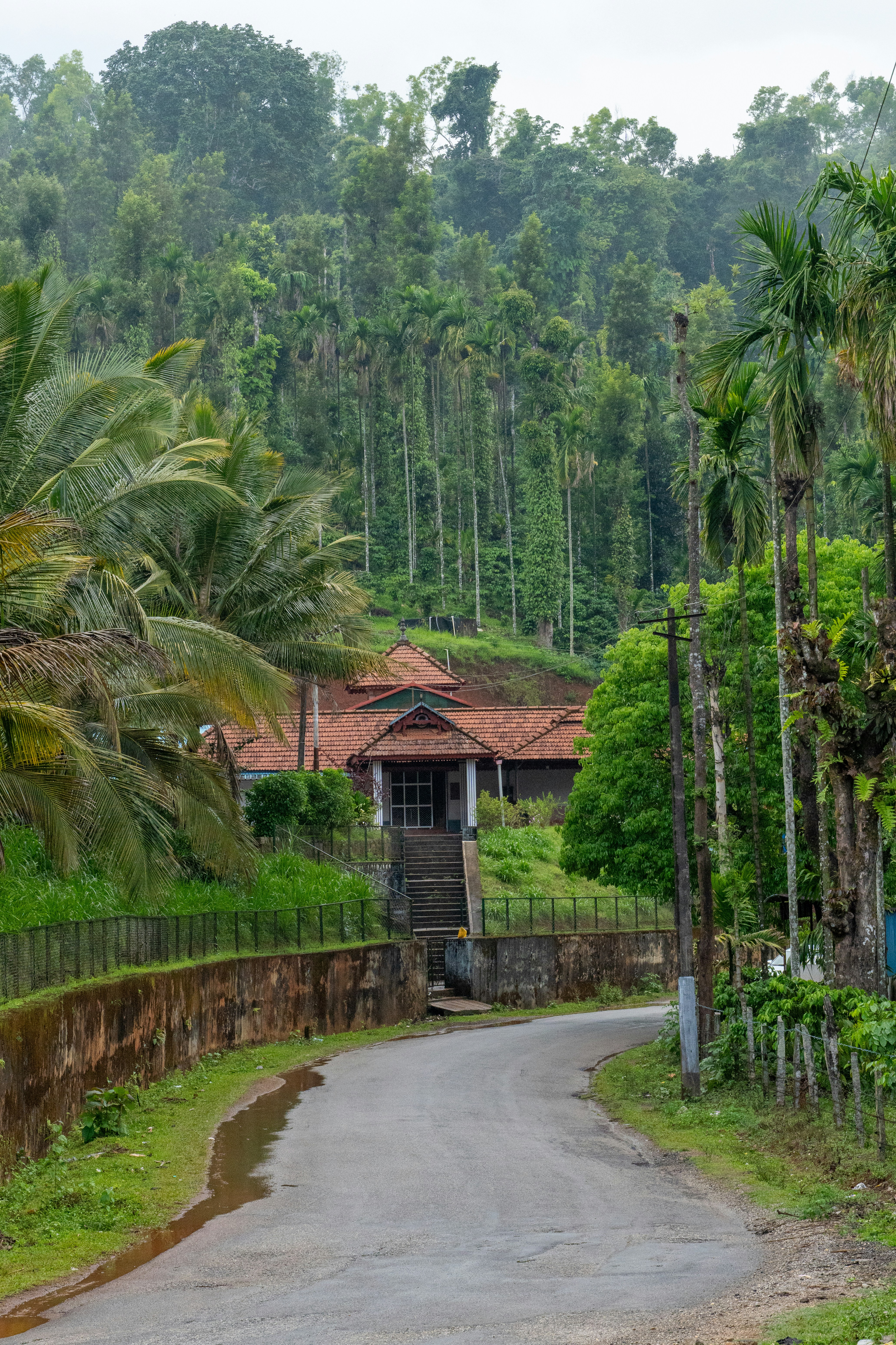 Path to the Red-Tiled House Through a Green Corridor