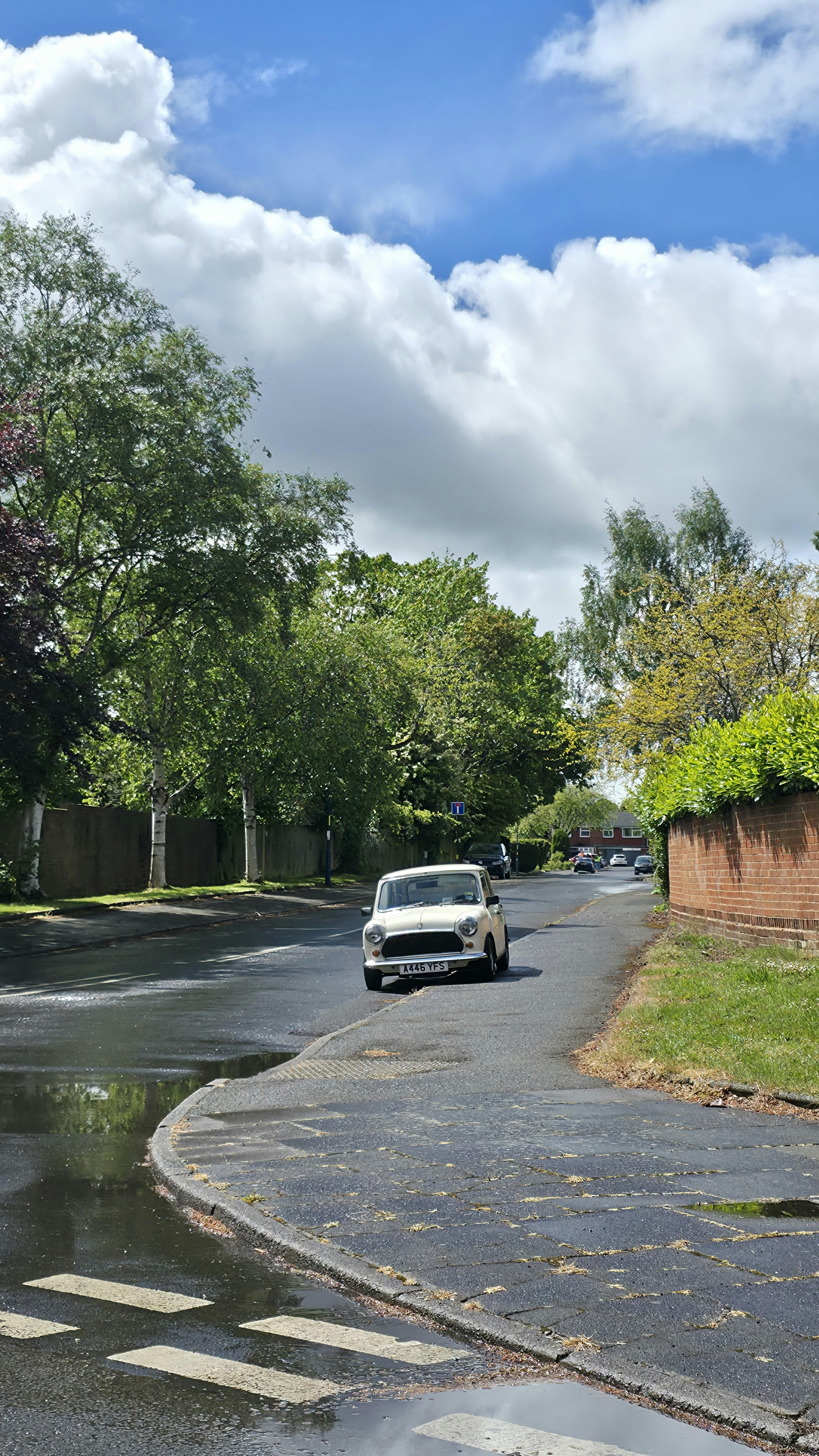 Classic white car on a sunlit suburban lane