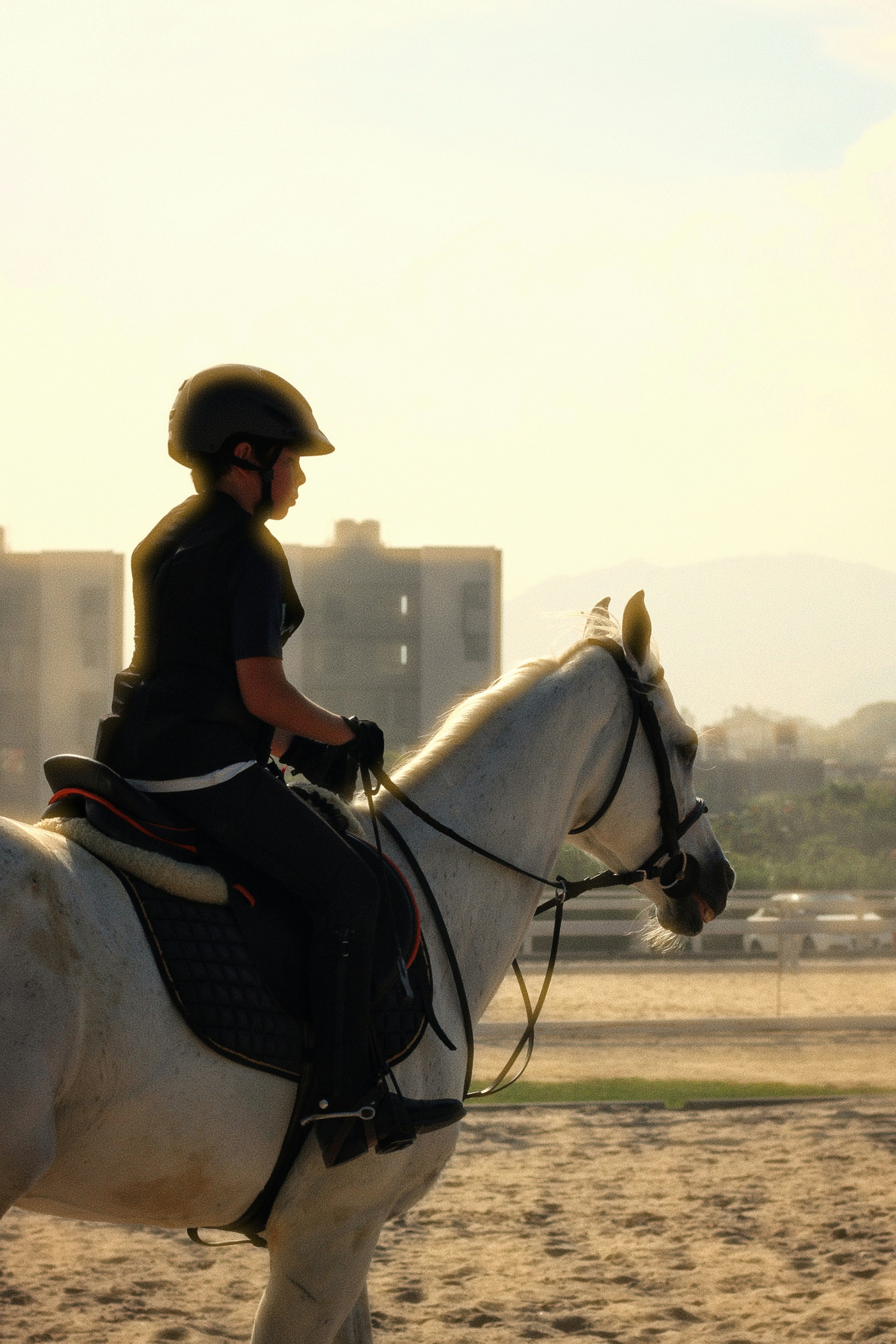 Rider in silhouette on a white horse against a sunlit arena