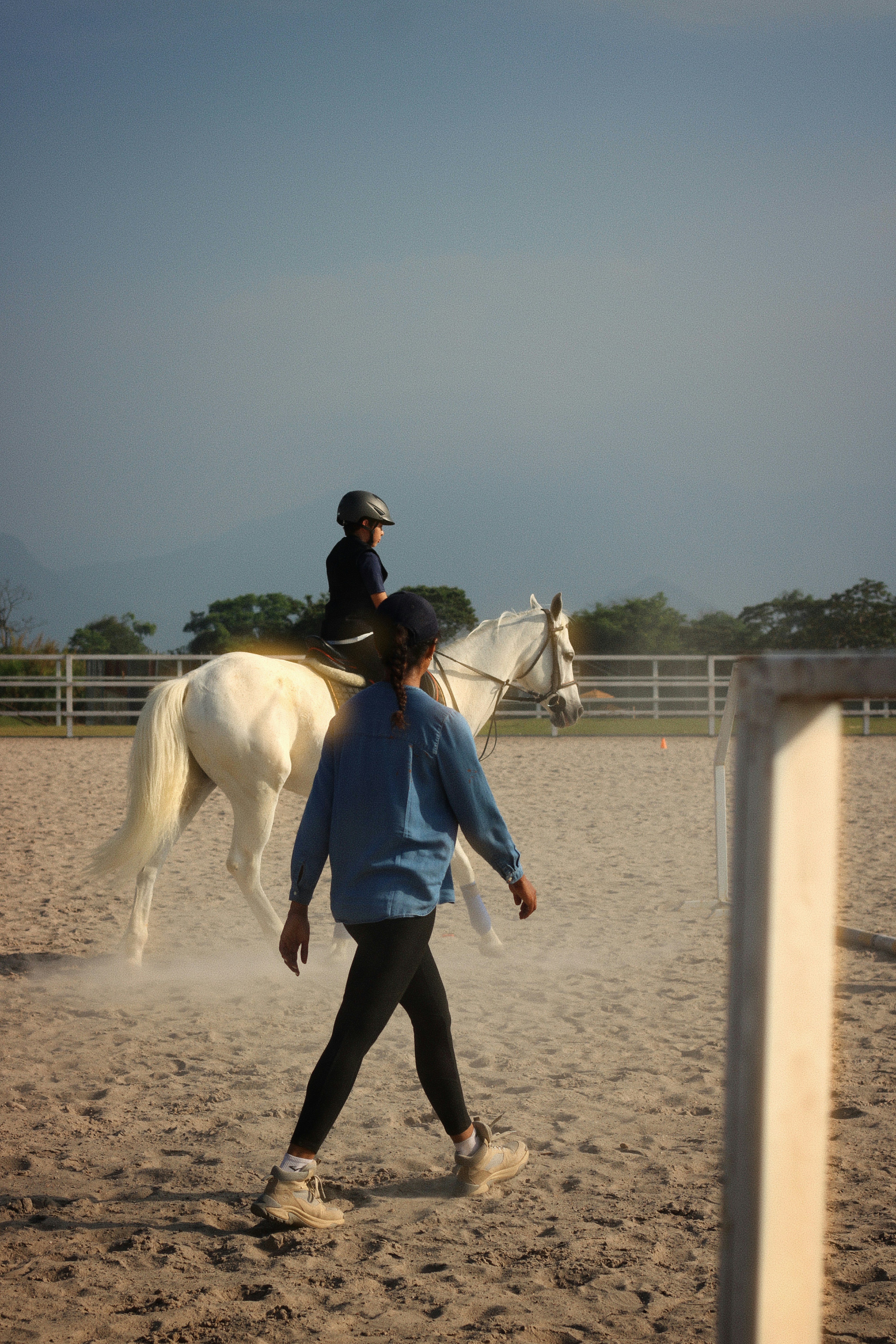 Shadow and Stride: A Rider and an Observer in a Dusty Arena