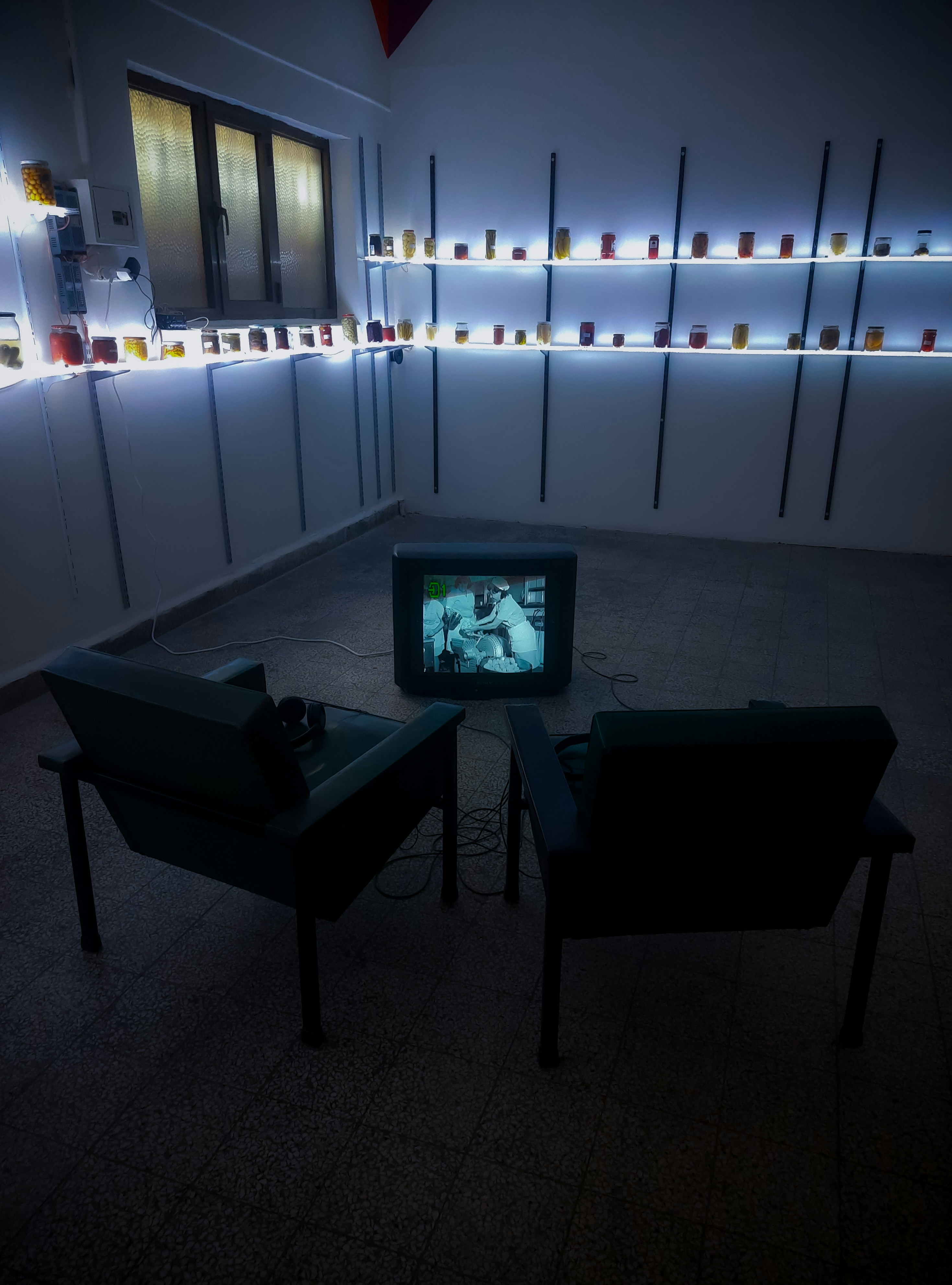 Neon Gallery: A Quiet Viewing of Colorful Jars